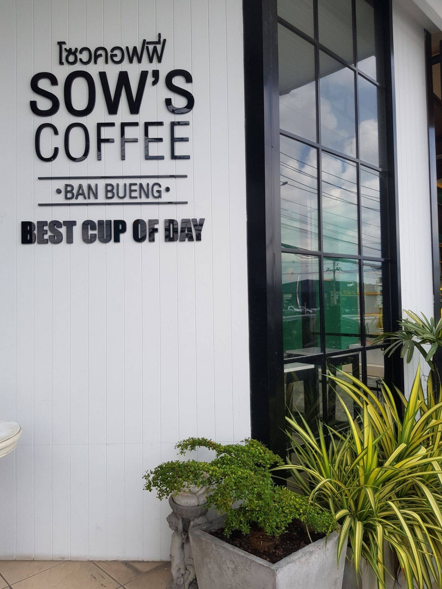 รีวิว Sow's Coffee สยามธารามันตรา - กาแฟรสชาติดี