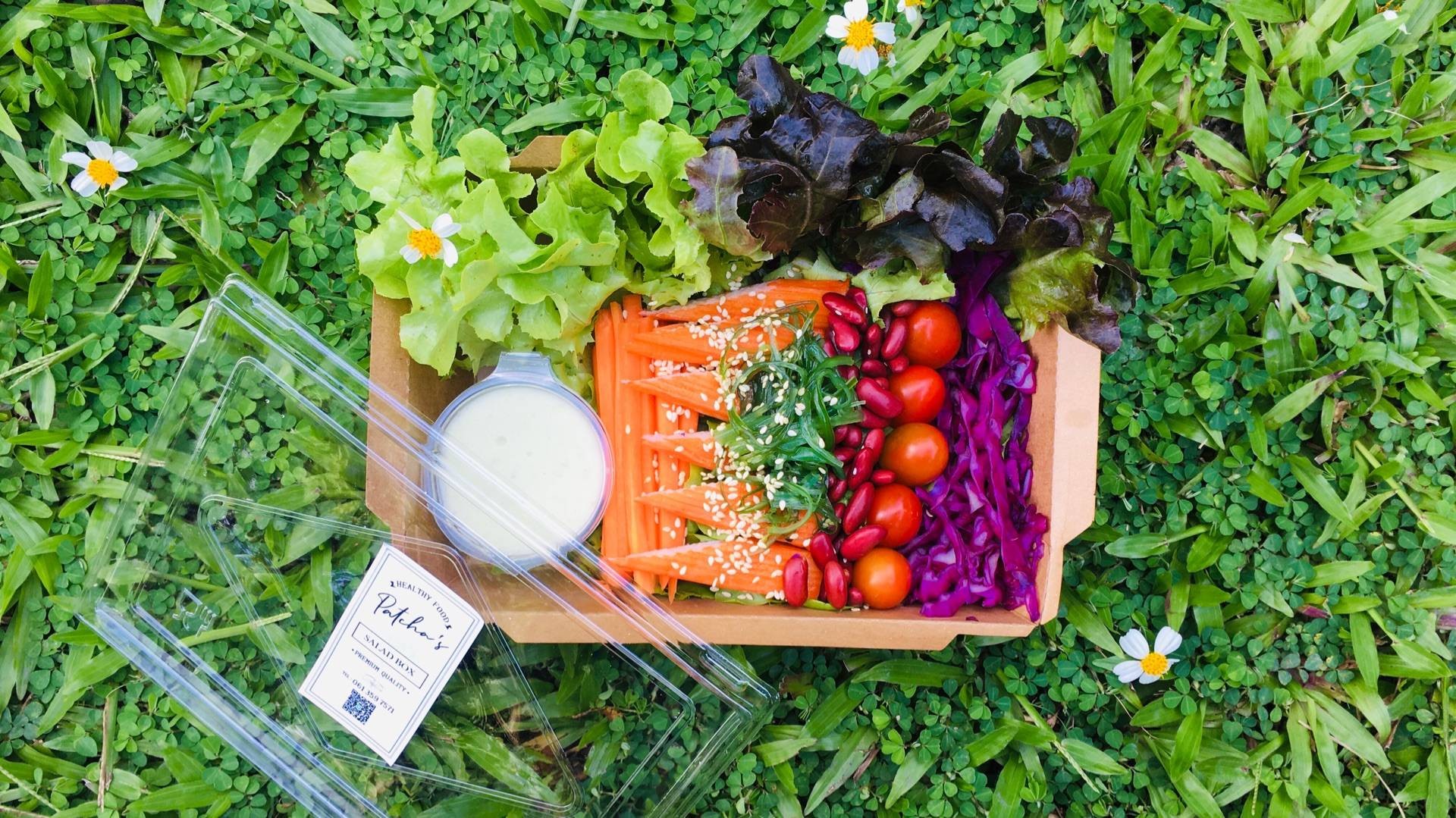 SALAD BOX By Patcha’s (พัชชา พรีเมียม สลัดบ๊อกซ์) - สั่งอาหารเดลิเวอรี | Wongnai x LINE MAN