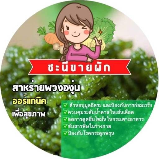ร้าน สาหร่ายพวงองุ่น By ชะนีขายผัก | รีวิวร้านอาหาร