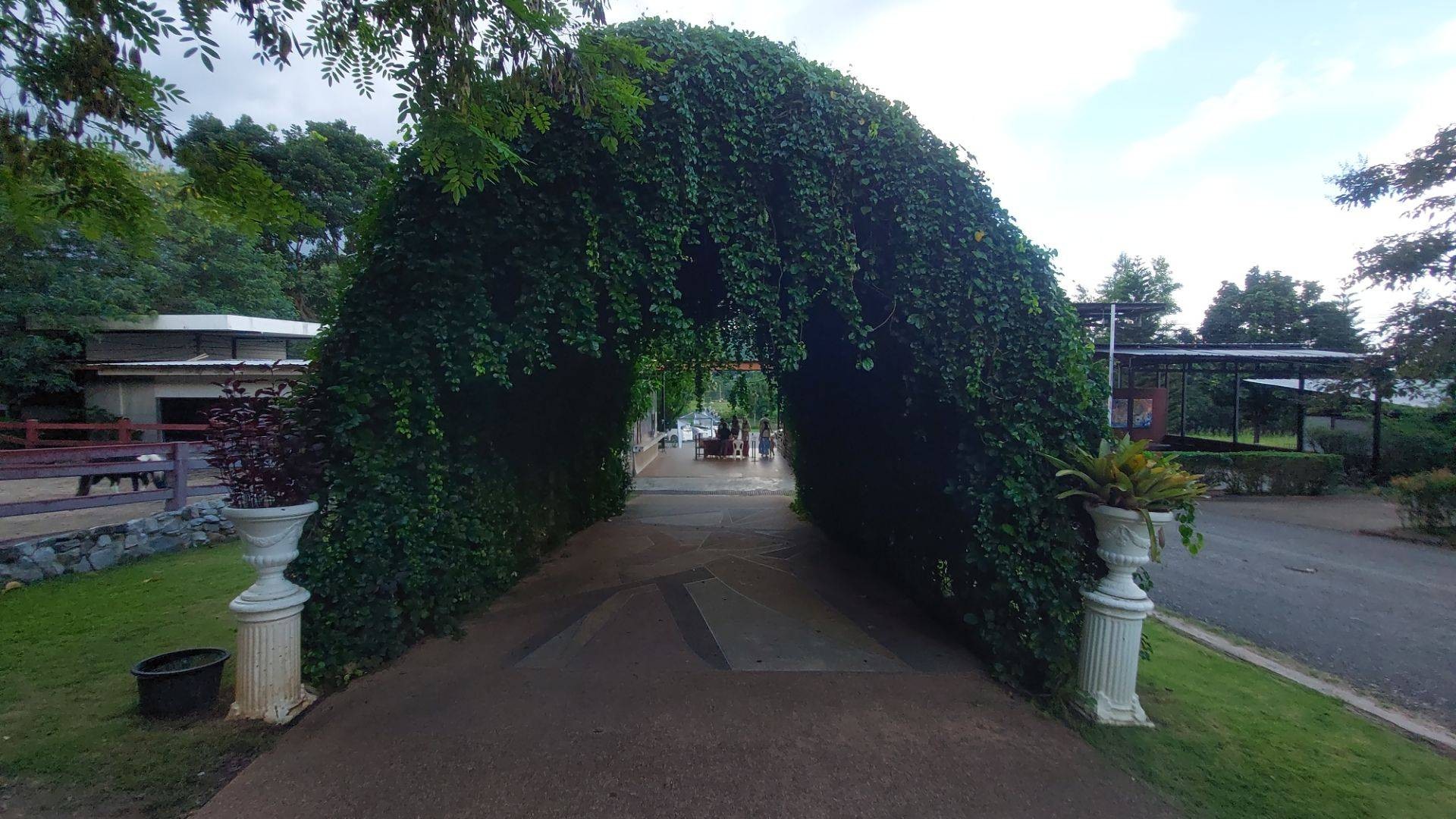 รูป Bonanza Exotic Zoo - Wongnai