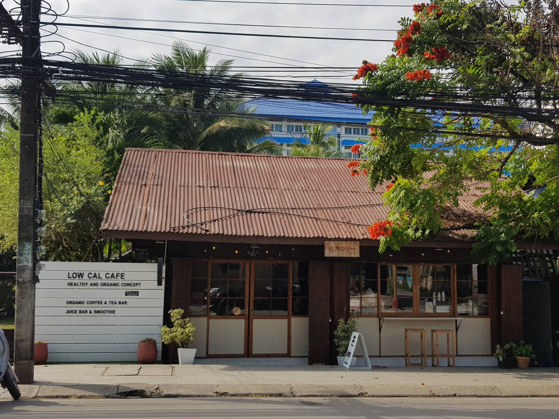 รีวิว LOW CAL CAFE โลวแคล คาเฟ่ เชียงราย - ร้านน่ารัก กาแฟดี มัทฉะเลิศ ...