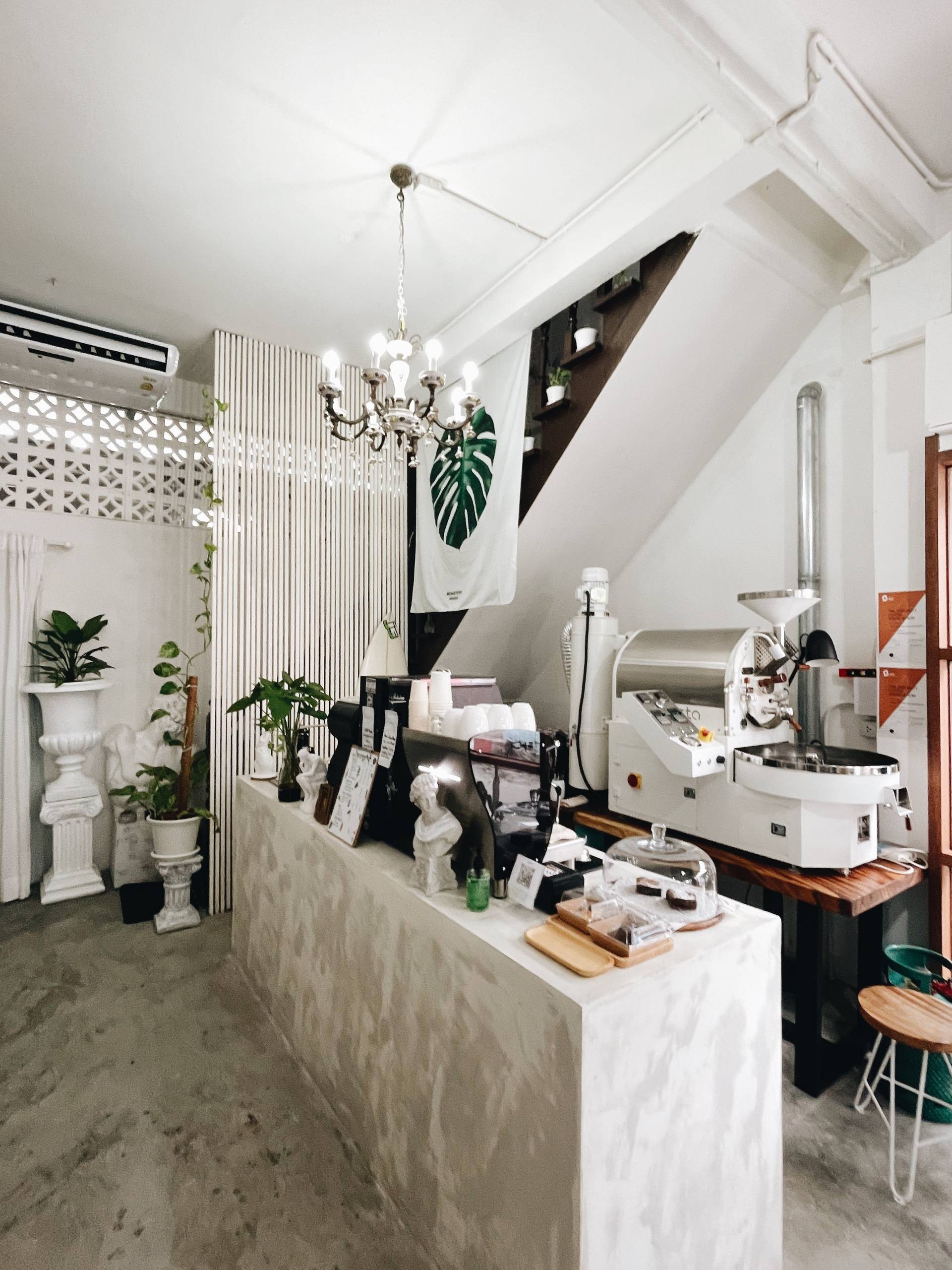 รีวิว Masonia Tree & Coffee Cafe - Masonia Tree & Coffee Cafe ร้านกาแฟ ...