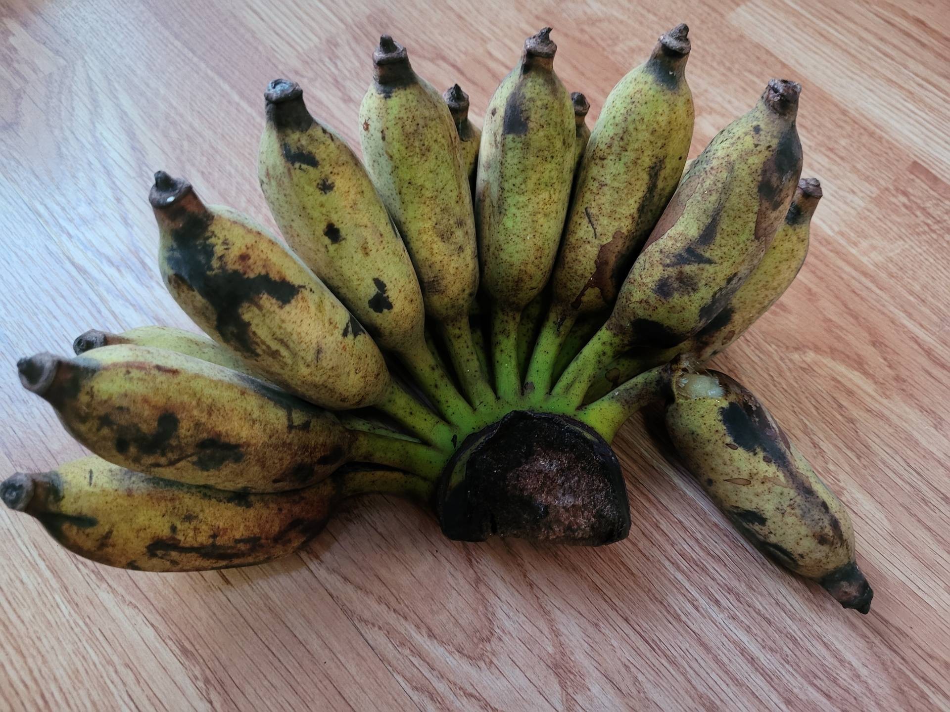 รีวิว Macky Fruity