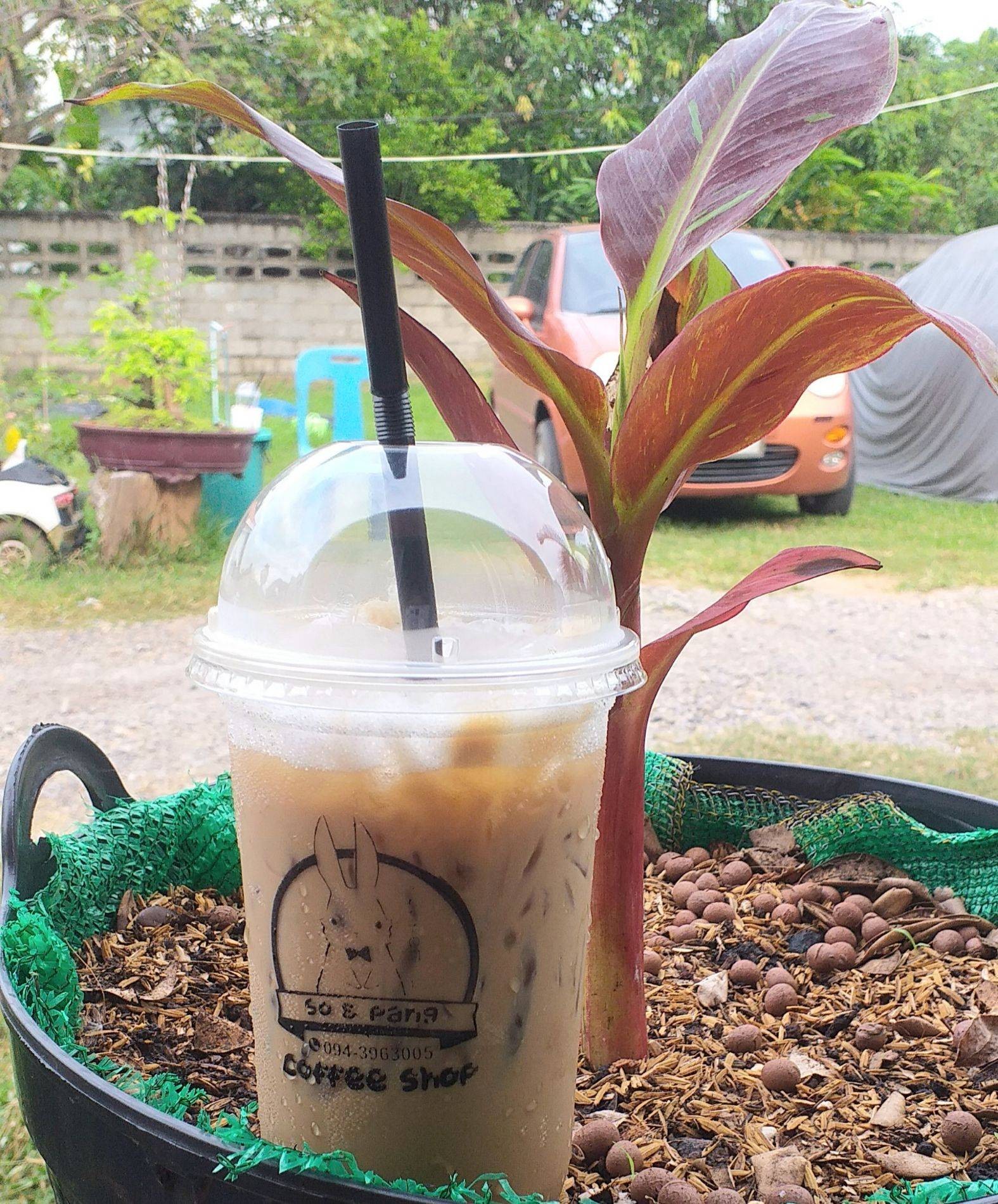 ร้าน So&Pang Coffee Shop | รีวิวร้านอาหาร