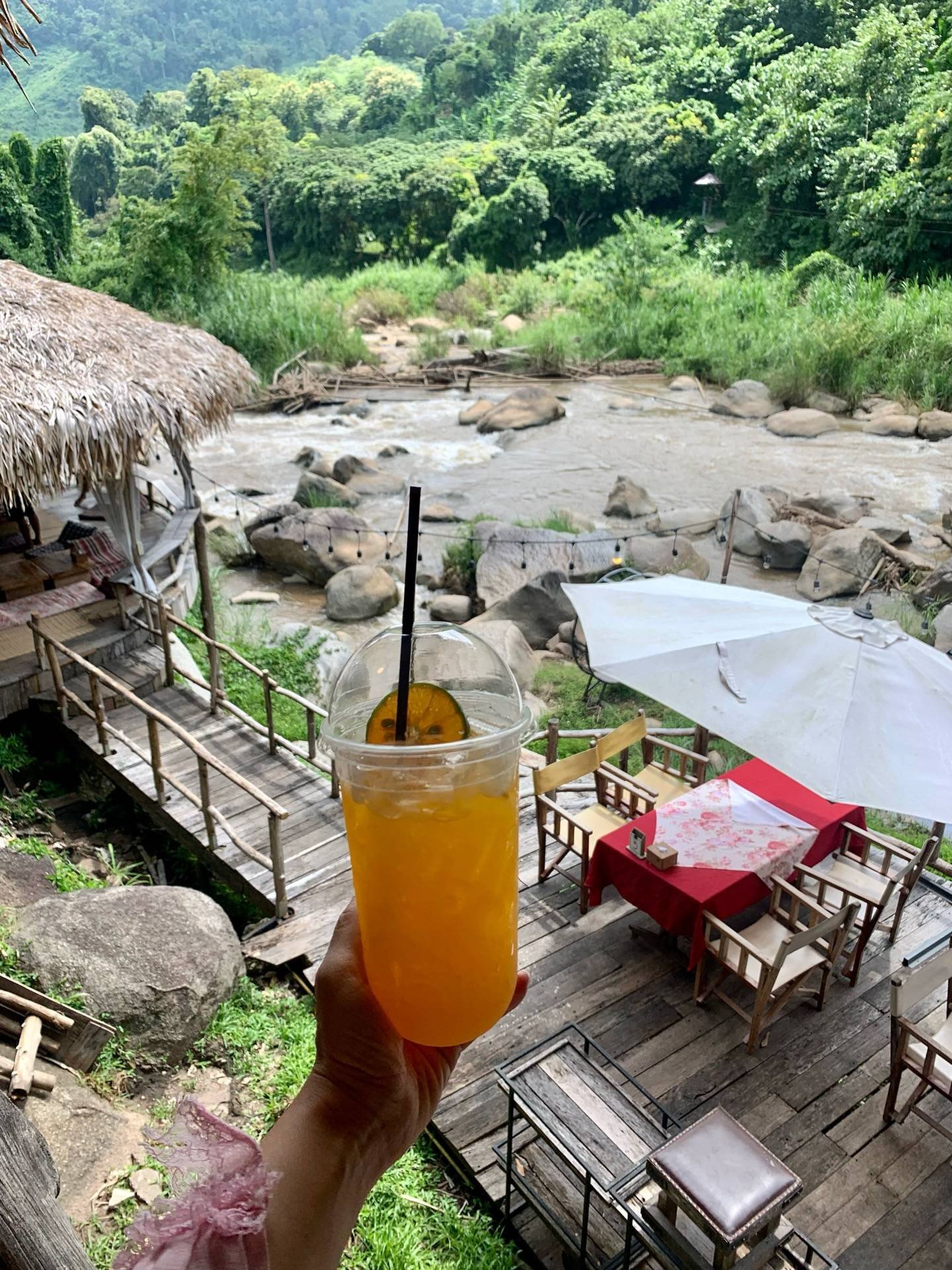 Stay Wild & Cafe - รีวิวที่พัก