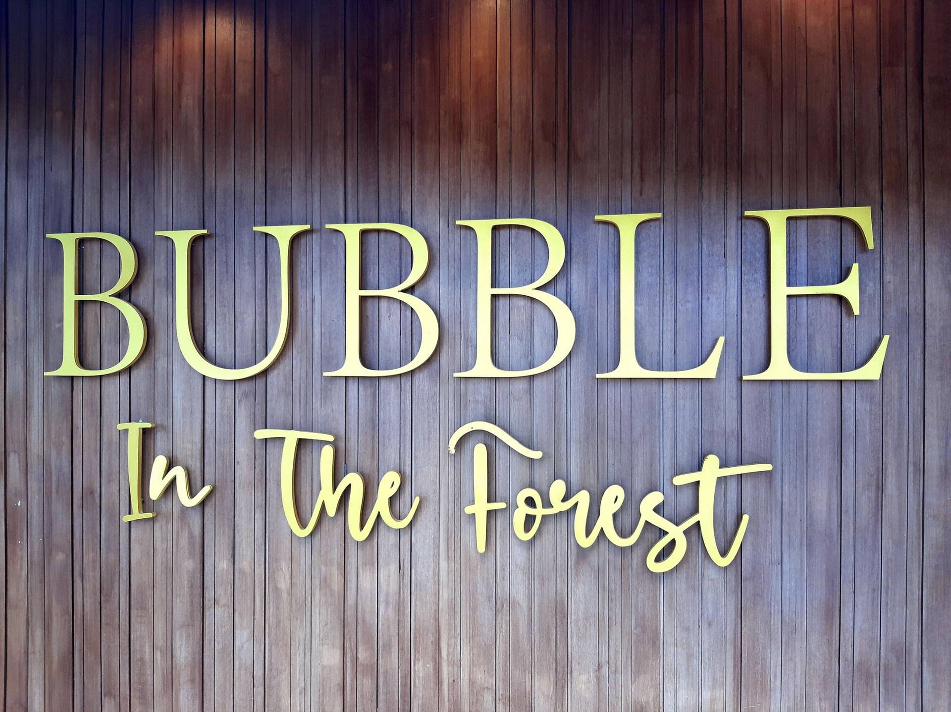รูป Bubble in the forest cafe - Wongnai