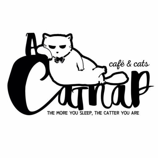[รีวิว] ร้าน A Cat Nap : Café & Cats | เมนูแนะนำ รูปภาพ ราคา