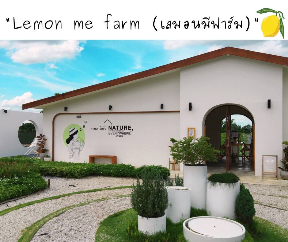 รีวิว เลมอนมี kitchen 1 - "Lemon me farm (เลมอนมีฟาร์ม)" คาเฟ่ในจังหวัด ...