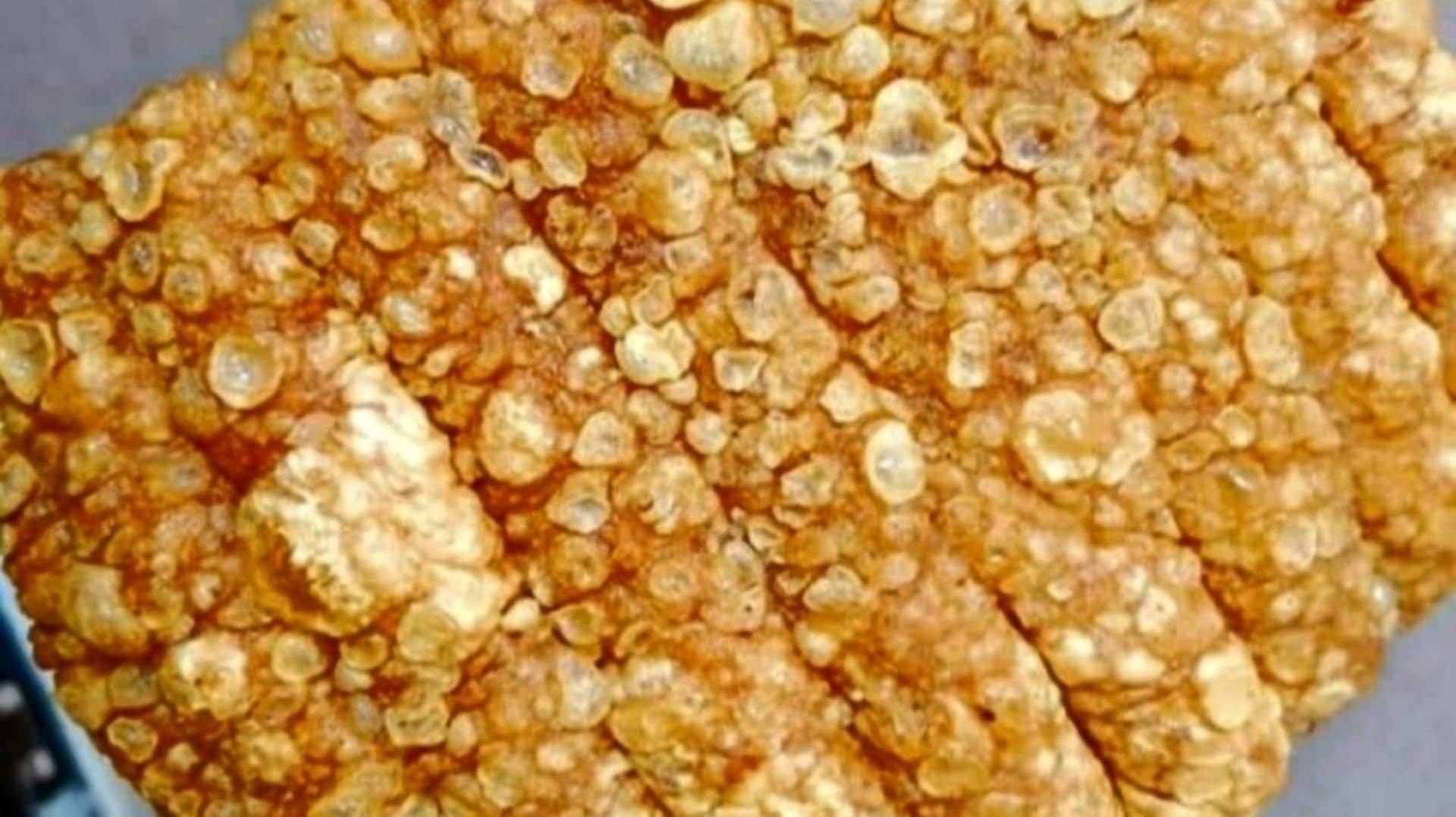 หมาไม่แดก by broken chef - สั่งอาหารเดลิเวอรี | Wongnai x LINE MAN