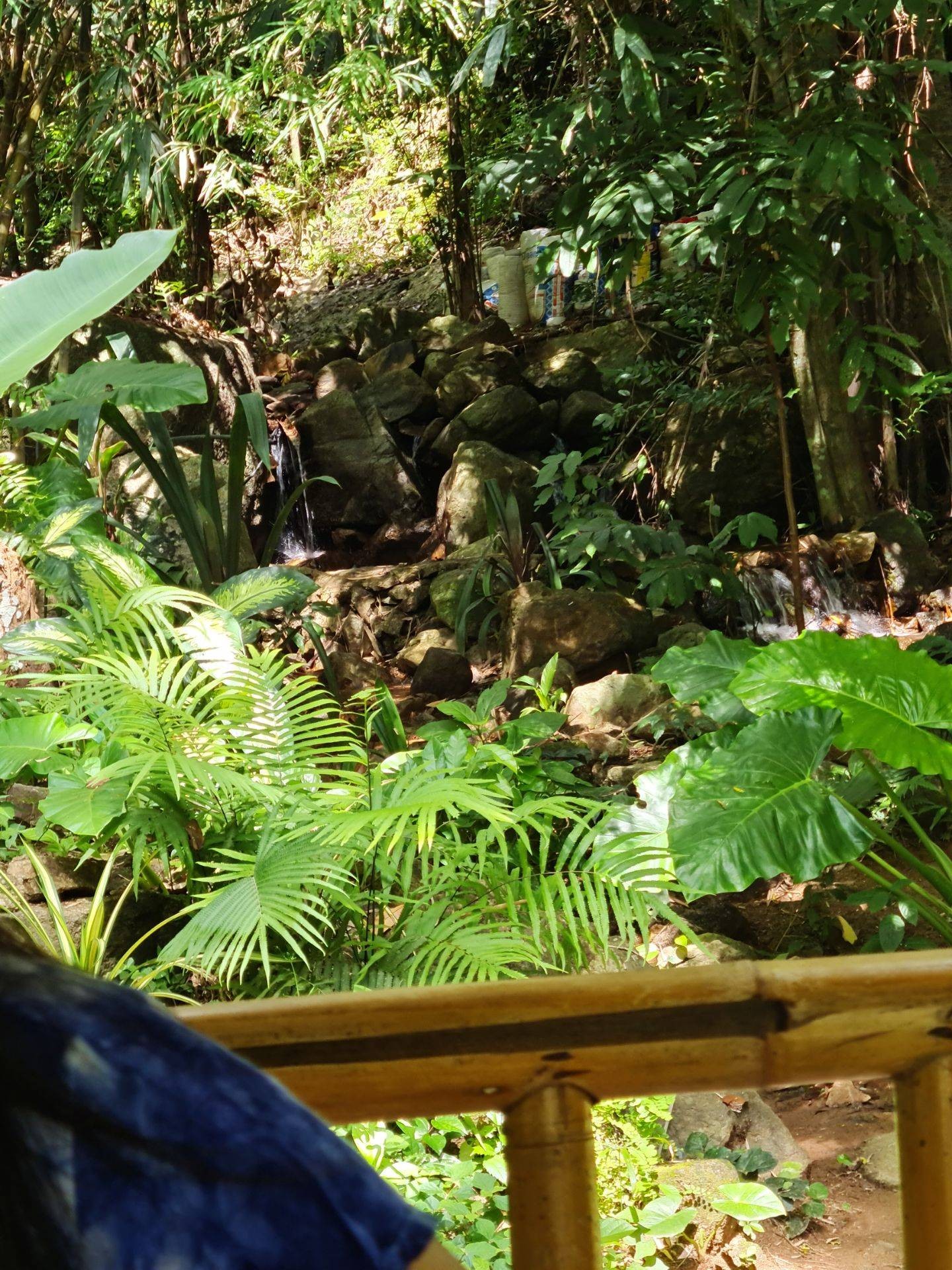 รีวิว สวนลุงรงค์ Suan.lung.rong - รสชาติอร่อยบรรยากาศดีมากแต่ที่จอดไม่ ...