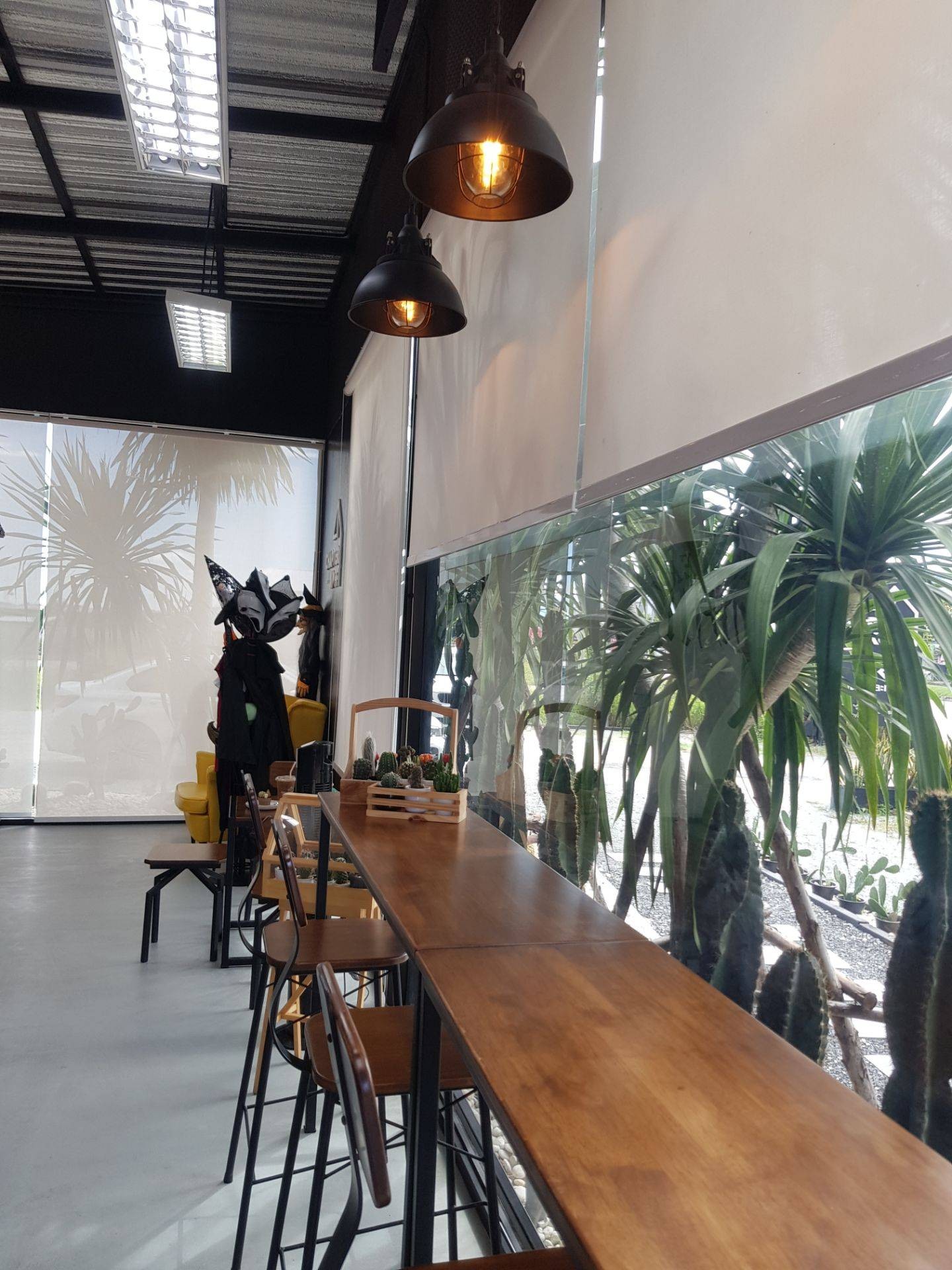 รูป Chapter Koff Chonburi