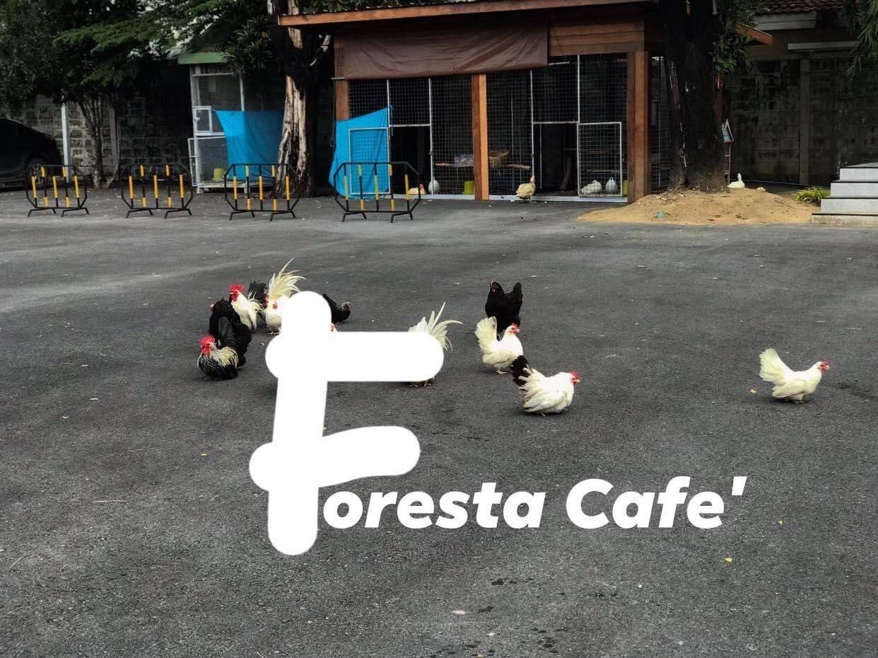 รีวิว FORESTA CAFE ดอนเมือง - Foresta Cafe' (ฟอเรสต้าคาเฟ่)