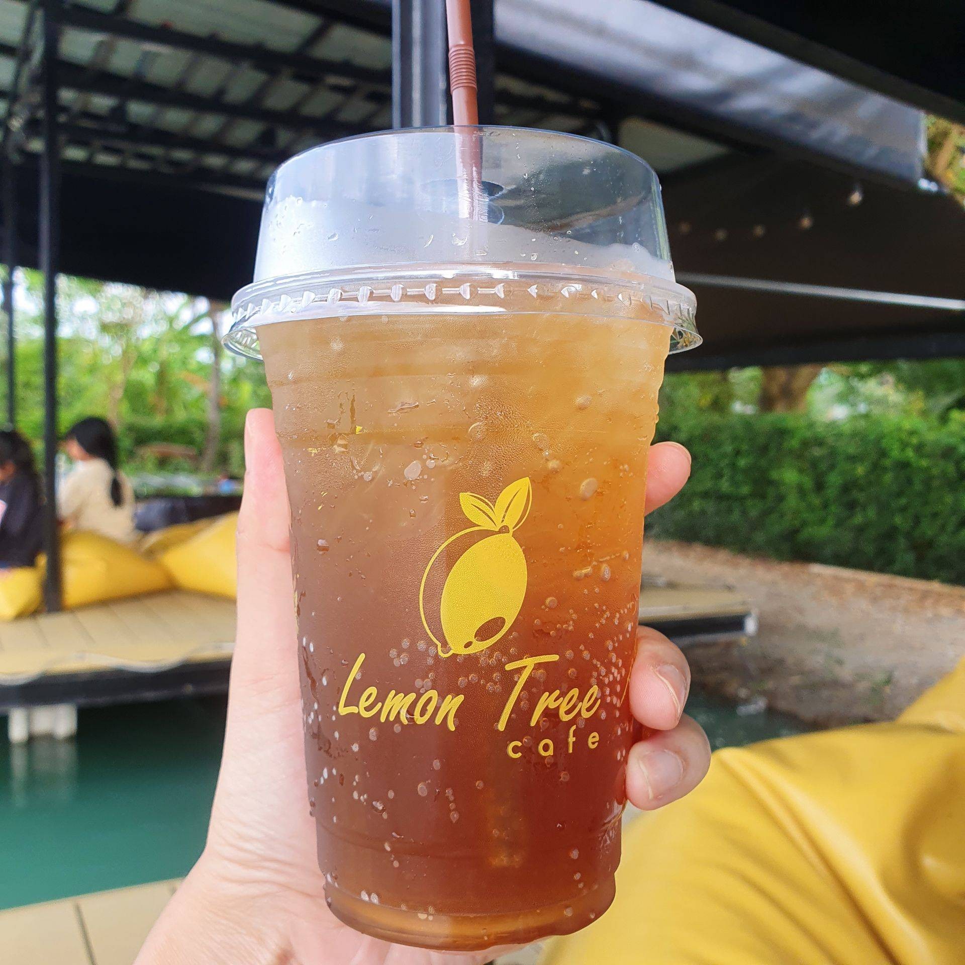 รูป Lemon Tree Cafe