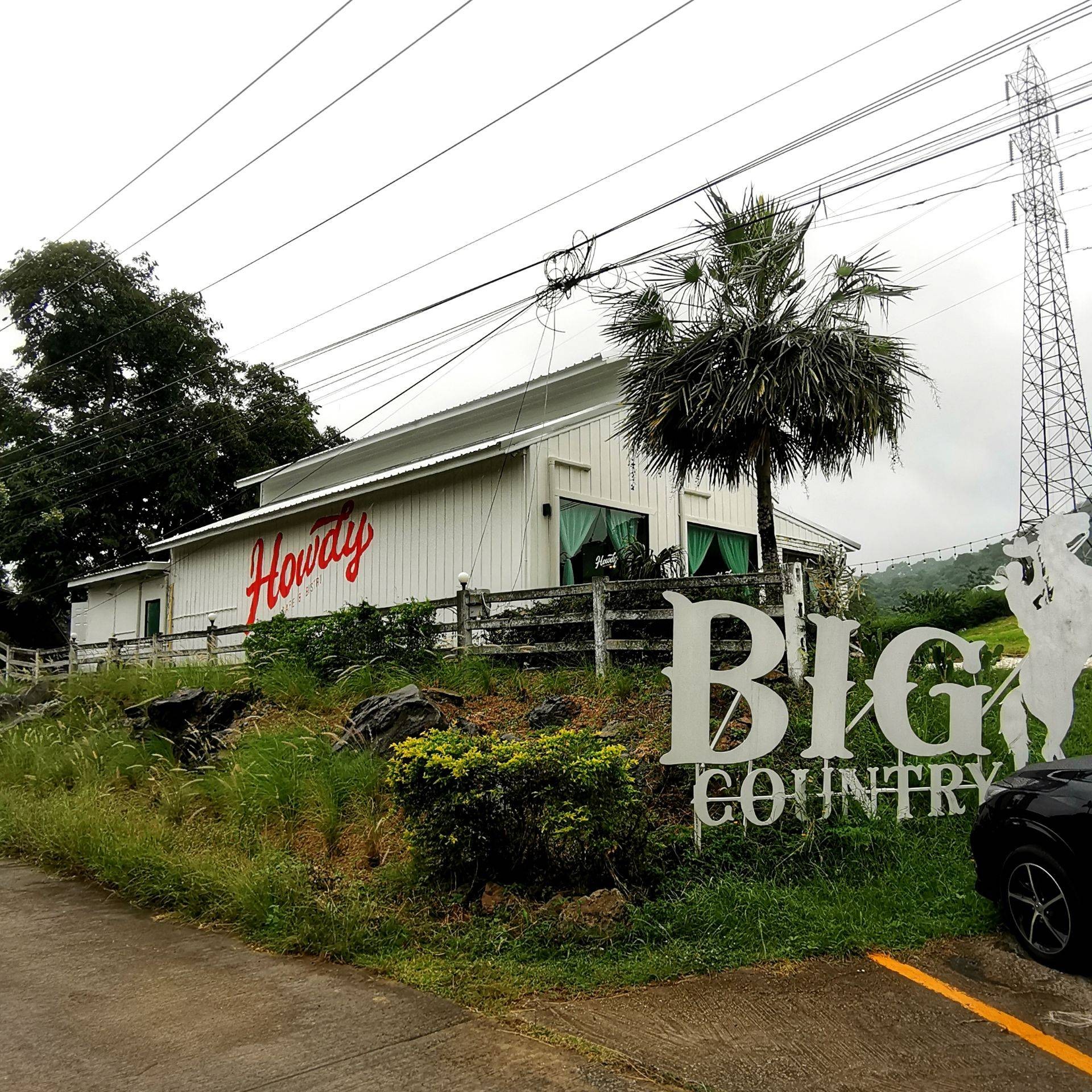 รีวิว Howdy Cafe&bistro - คาเฟ่สวย มีต้นไม้สวยๆขายด้วย - Wongnai