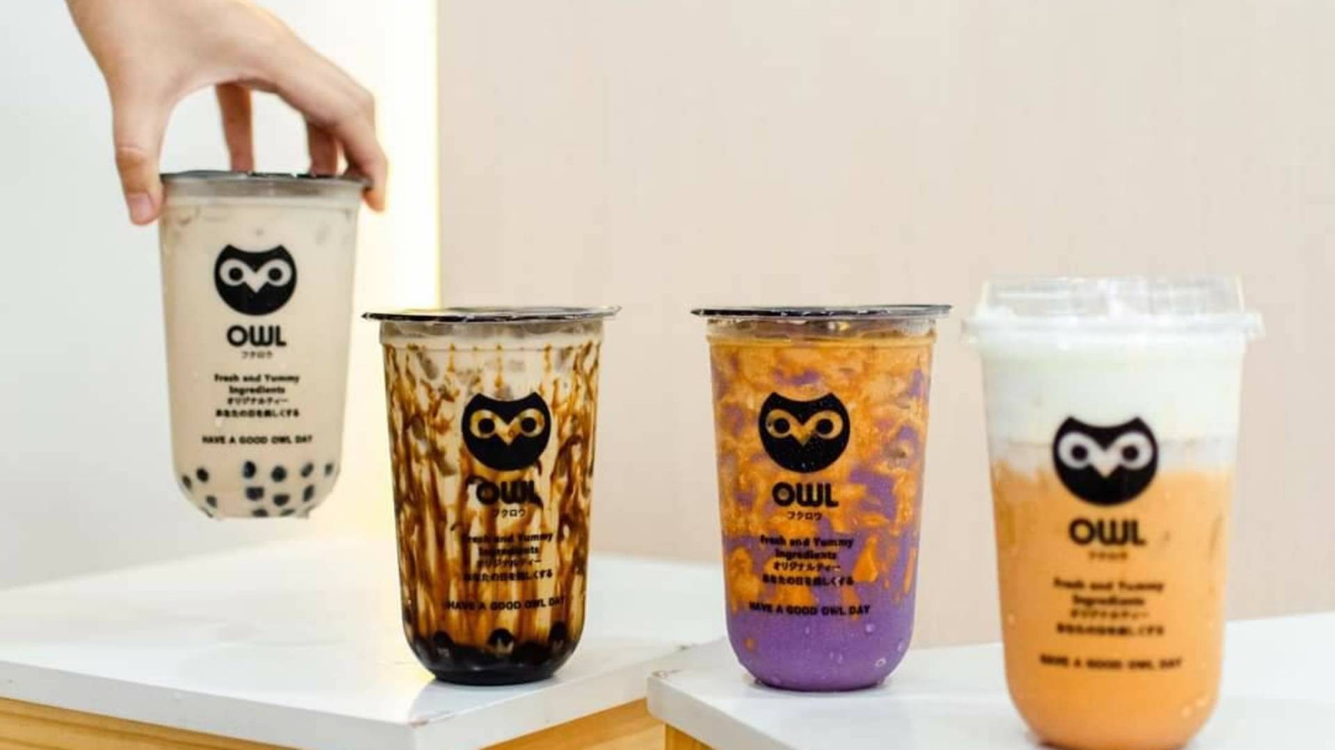 OWL CHA สาขา ซีคอน บางแค - สั่งอาหารเดลิเวอรี | Wongnai x LINE MAN