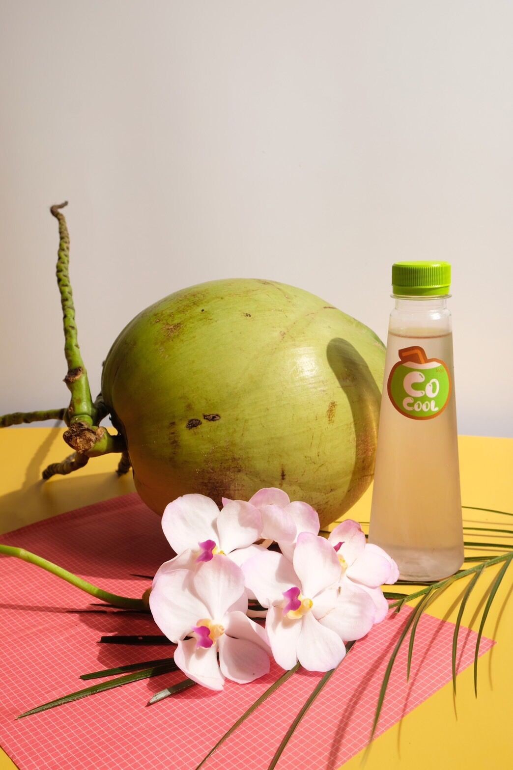 ร้าน น้ำมะพร้าว CoCool สาขา แม็กซ์แวลูนวมินทร์ | รีวิวร้านอาหาร