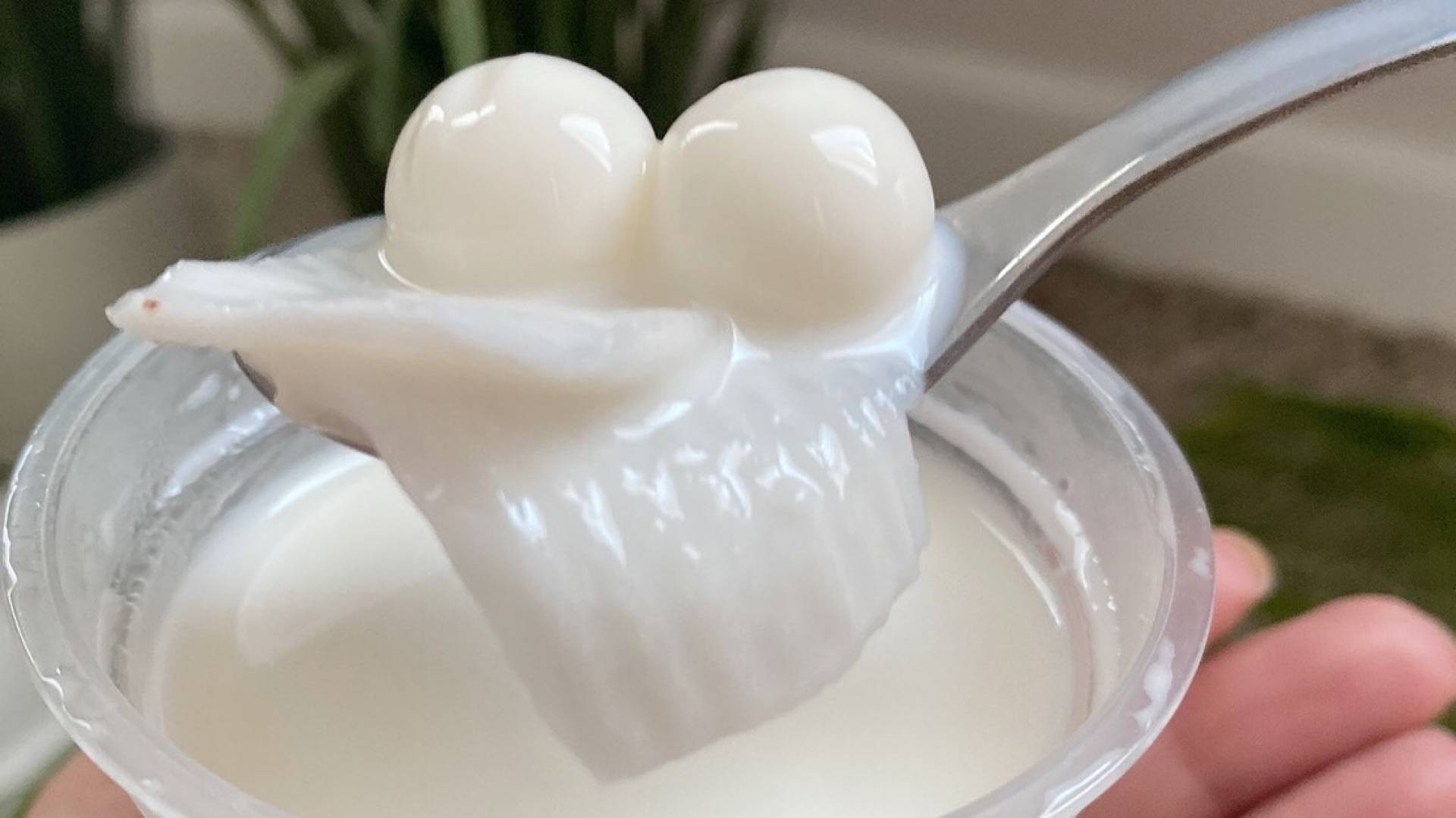 KoKo_Nut - สั่งอาหารเดลิเวอรี | Wongnai x LINE MAN