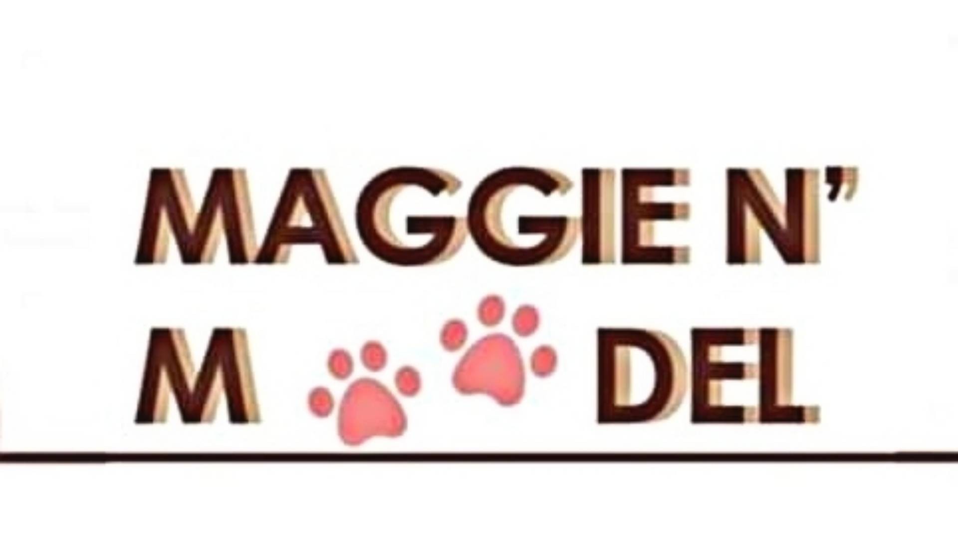 ร้าน Maggie&Model Petshop - Wongnai