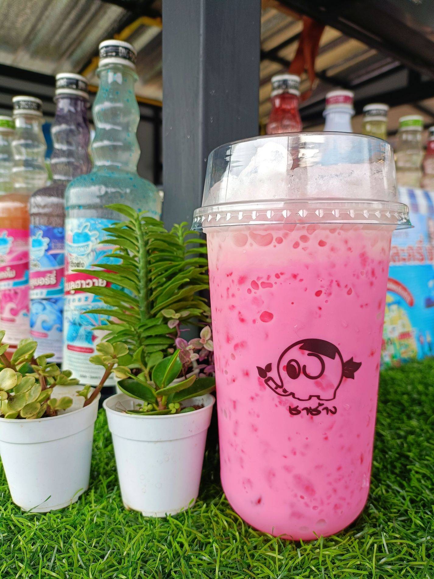 ร้าน ชาช้าง ยุทธศาสตร์ | รีวิวร้านอาหาร