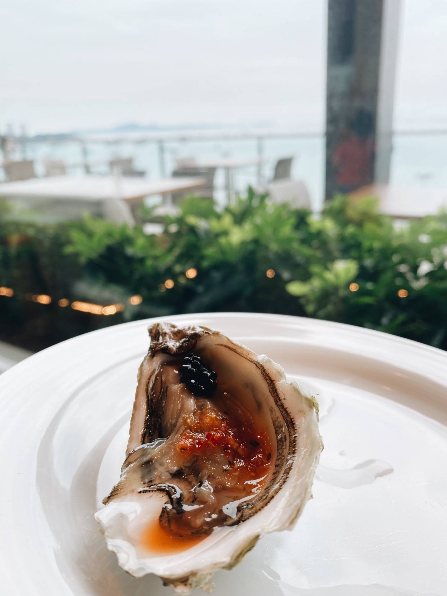 รีวิว Edge, Hilton Pattaya Hilton Pattaya Hotel - Seafood Buffet w/ Cavier