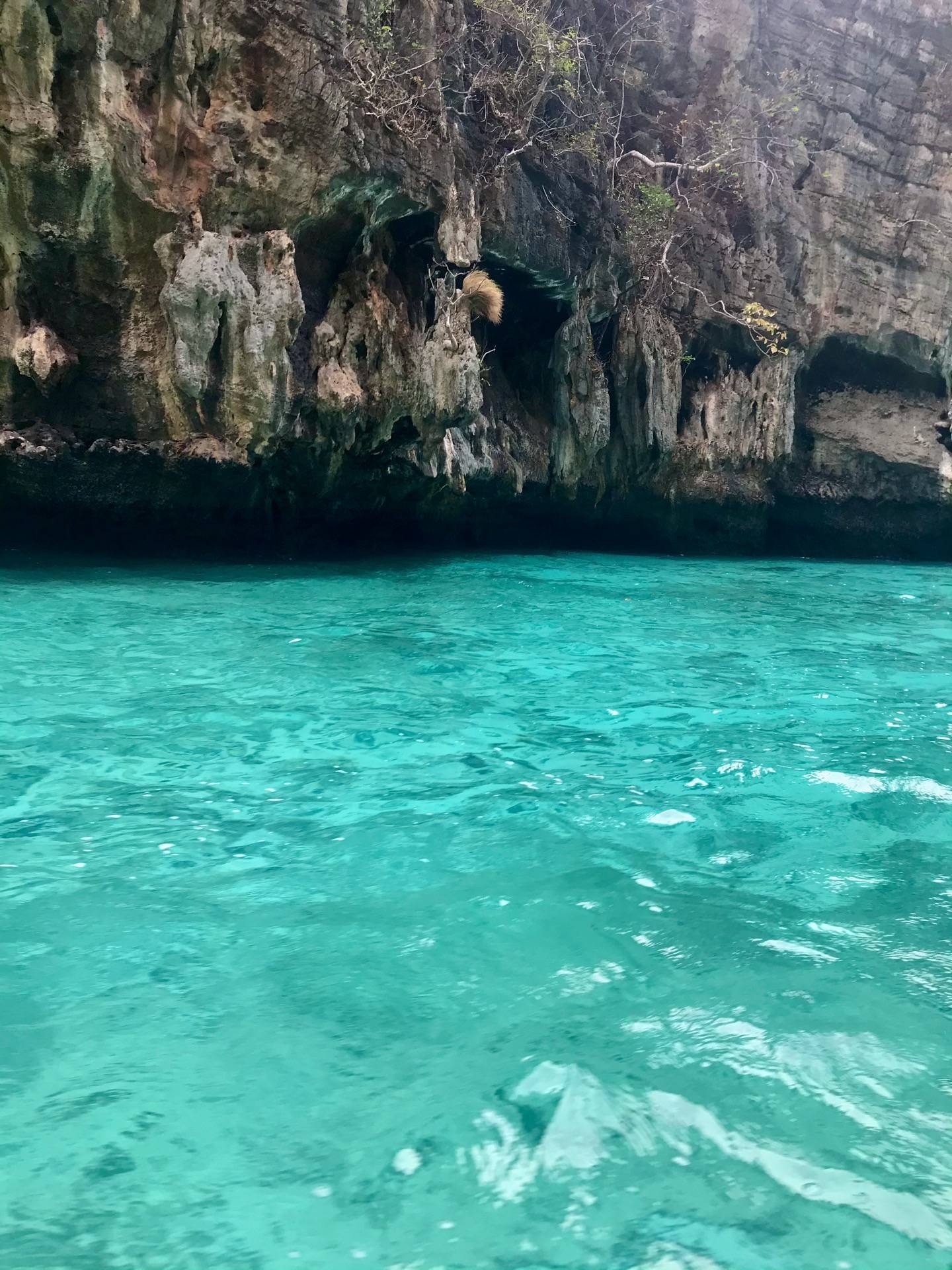 รีวิว เกาะพีพี - เกาะพีพี ( Koh Phi Phi ) น้ำใส ทะเลสวย 🌊🏝 - Wongnai