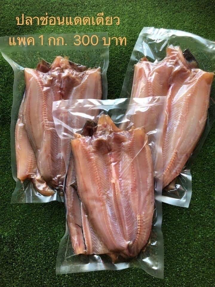 ร้าน Plasalid Natwara