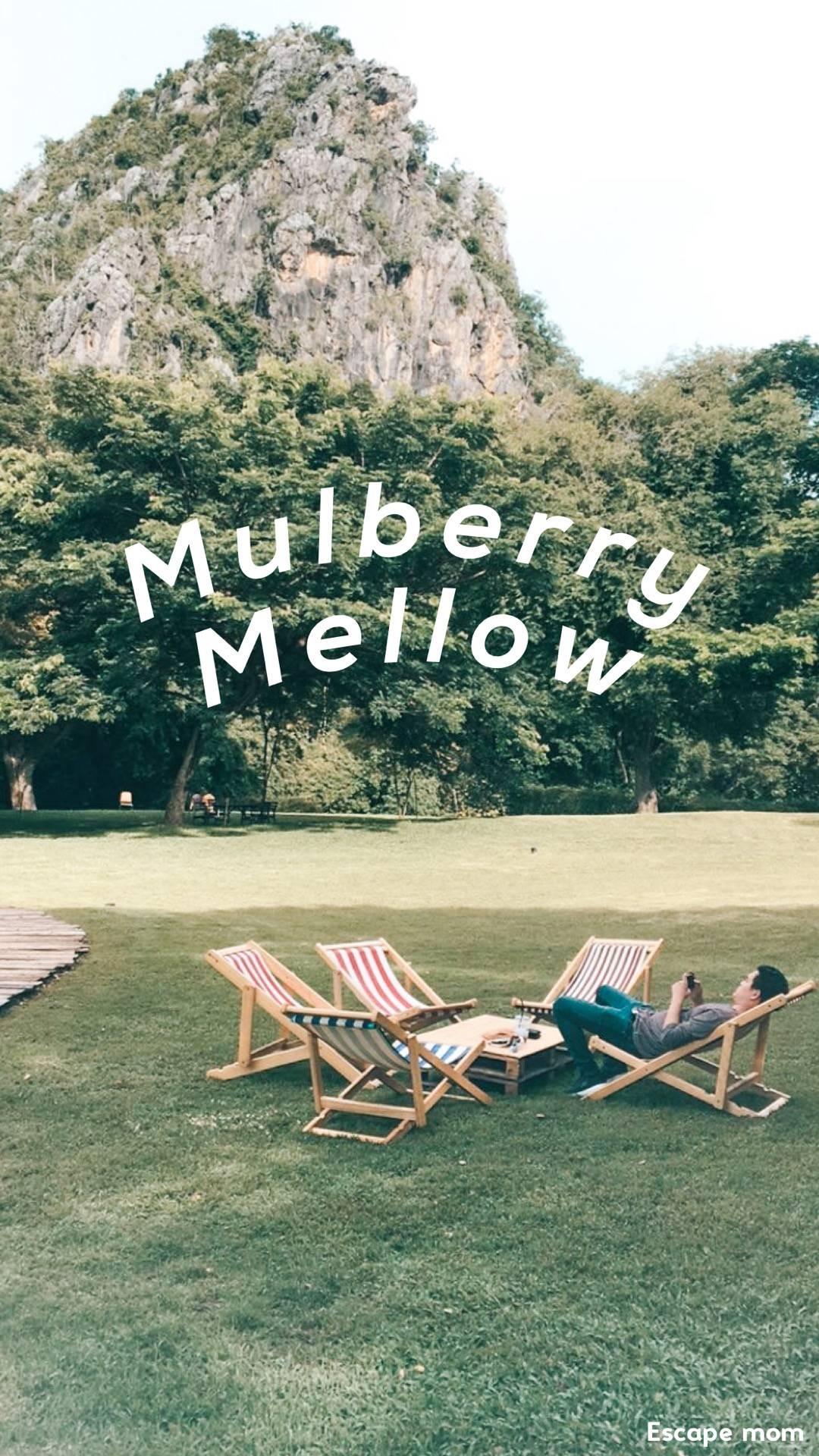 รีวิว Mulberry Mellow แคชเชียร์ร้าน 1 - 🍒Mulberry mellow 🍒คาเฟ่สุดชิล ...