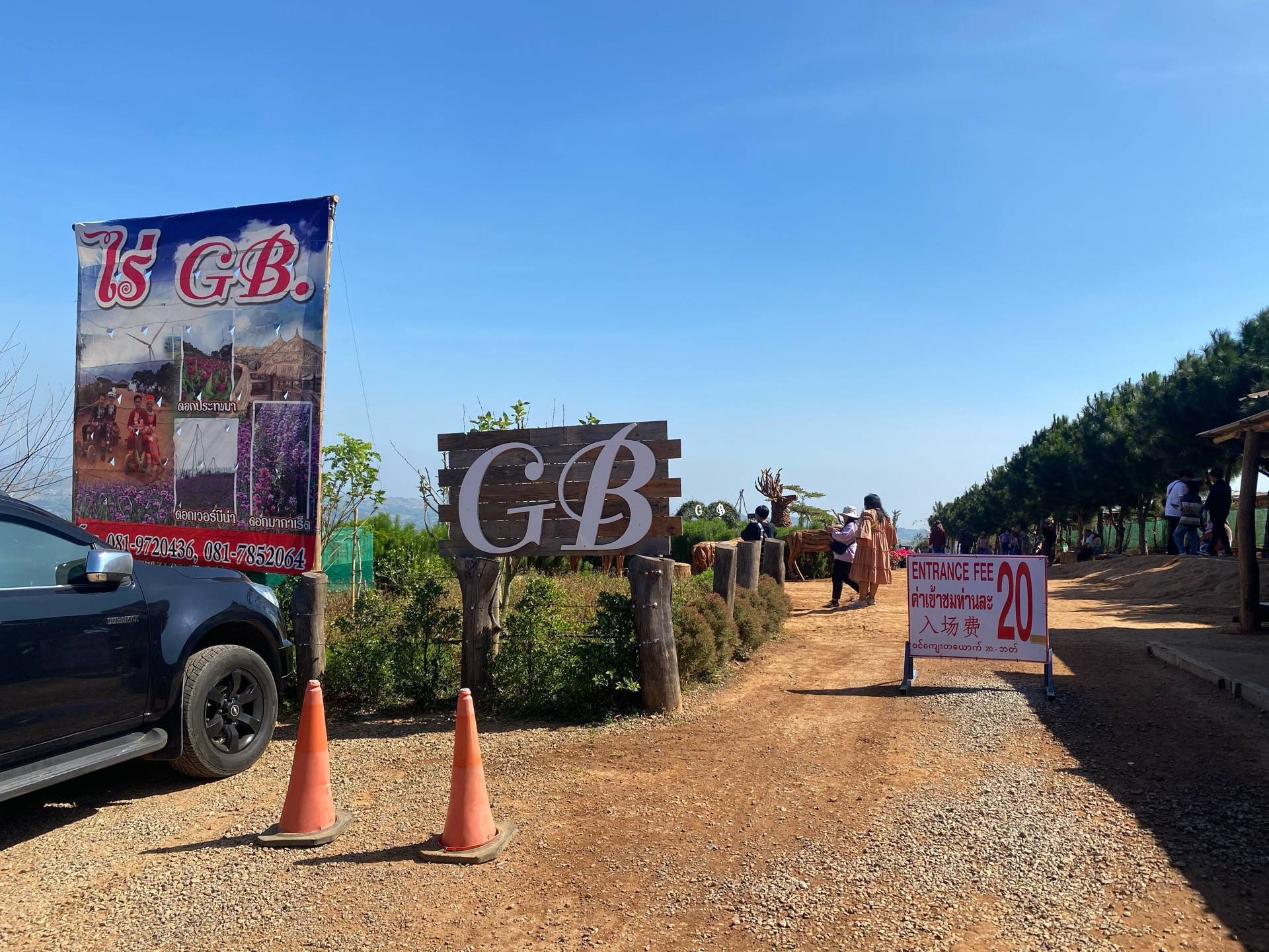 รีวิว GB Farm - สวนดอกไม้บ้านเราก็ดีนะ 🌺 - Wongnai