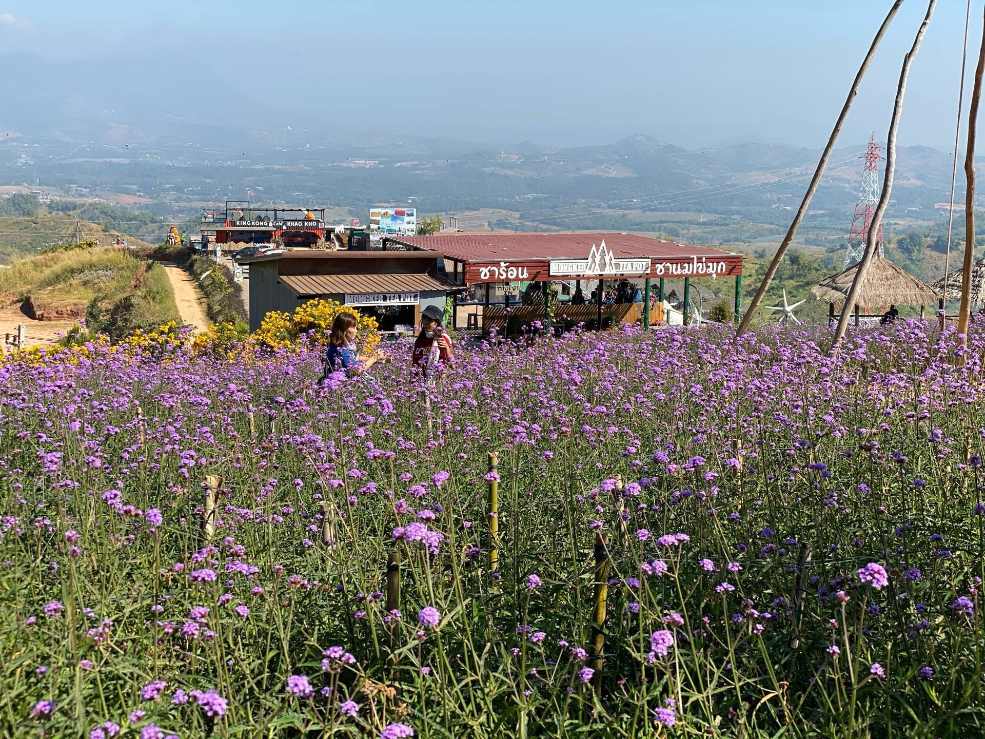 รูป GB Farm - Wongnai