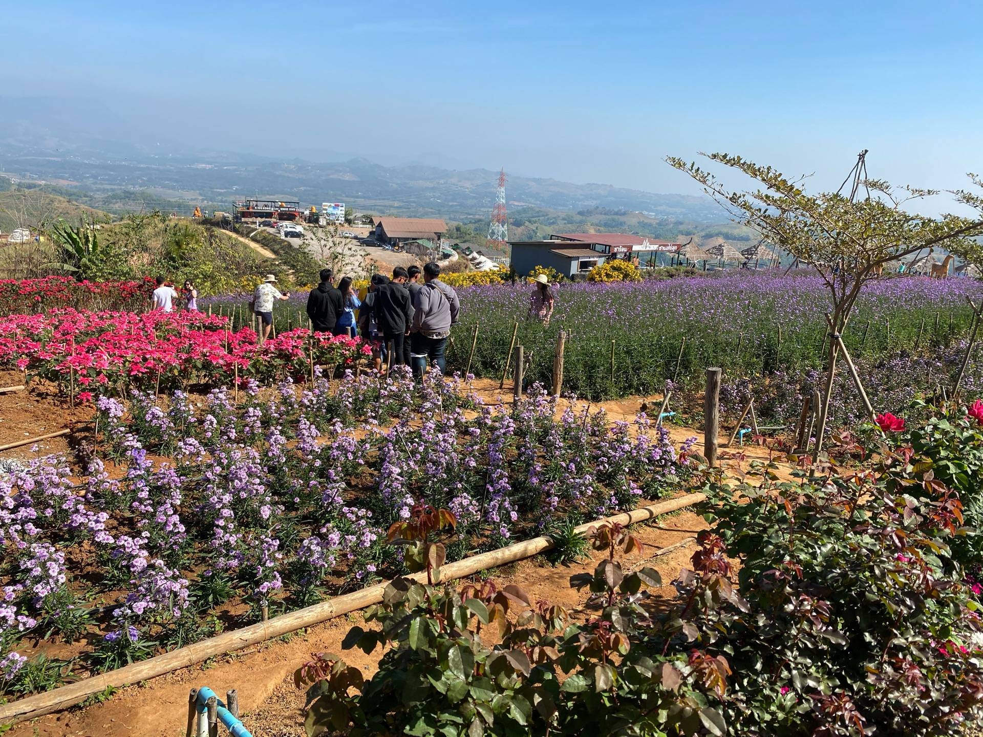 รูป GB Farm - Wongnai