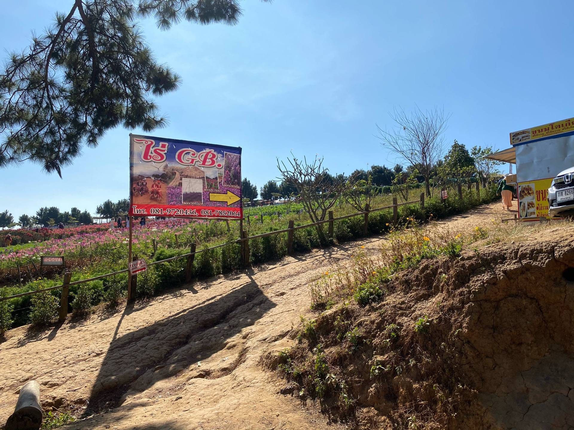 รูป GB Farm - Wongnai