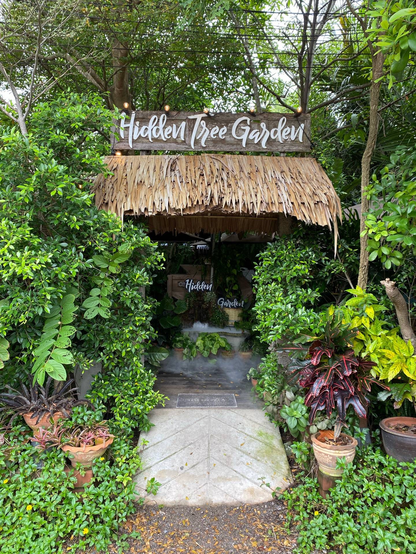 รีวิว Hidden Tree Garden Specialty Coffee - ร้านสวยดีครับ