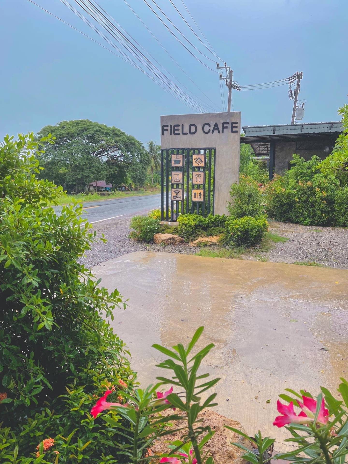 รีวิว Field Cafe - ร้านฟิลด์คาเฟ่