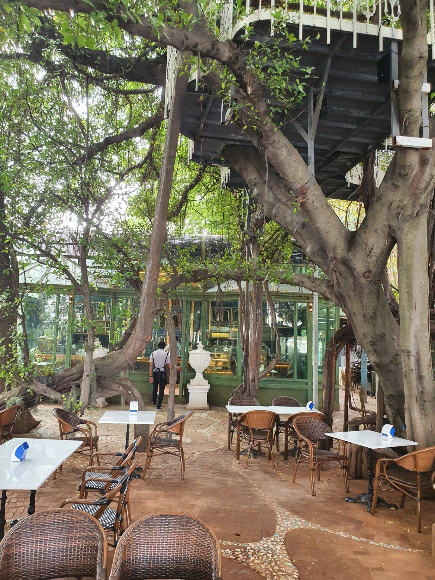 รูป Tsai Eatery ไทร อีทเทอรรี่ - Wongnai