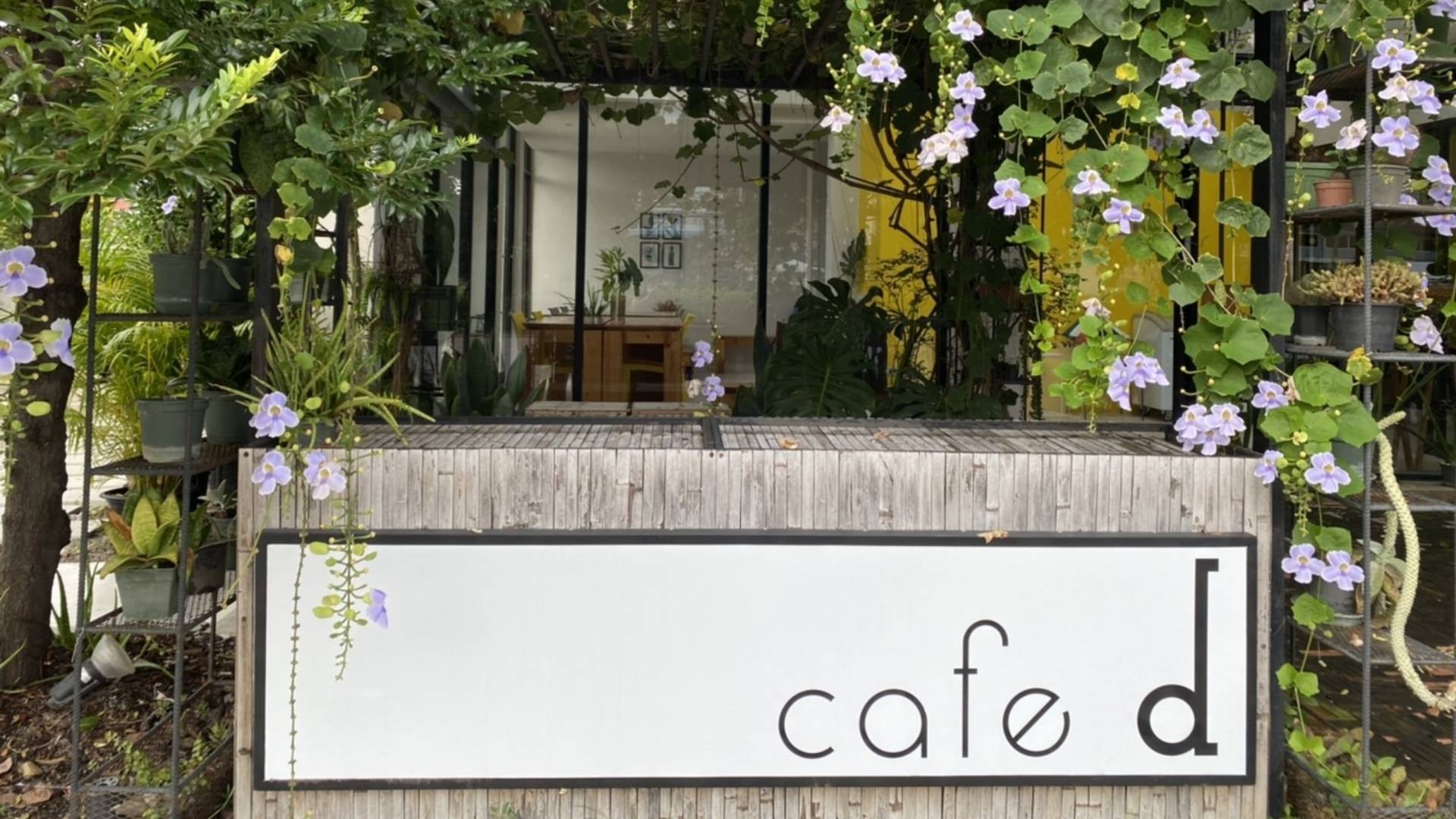 ดีลส่วนลดพิเศษร้าน Cafe D รับส่วนลด 15% + เมนูแถม พายไก่ 1 ชิ้น( มูลค่า ...