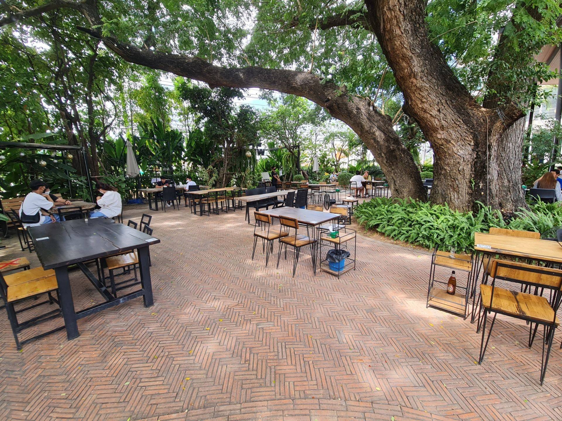 รีวิว WHIP CAFE Bangsaen - ร้านสวยร่มรื่นมากค่ะ อาหารอร่อยย พนักงานน่ารัก