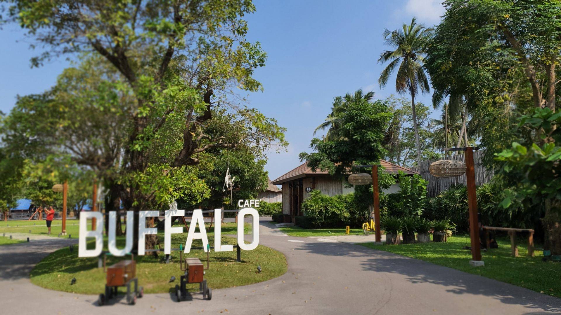 รีวิว The Buffalo Cafe' - มาคาเฟ่ดูควายติดริมน้ำ
