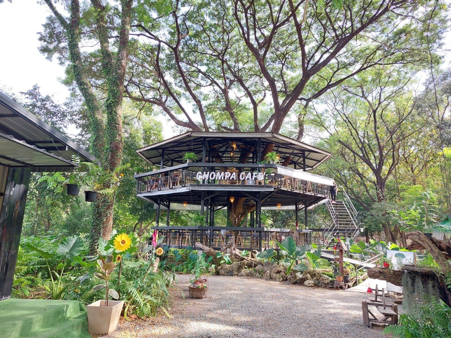 รีวิว ร้านชมป่าคาเฟ่ (Chompha Cafe') - ร้านกาแฟบ้านต้นไม้ ป่าในเมือง