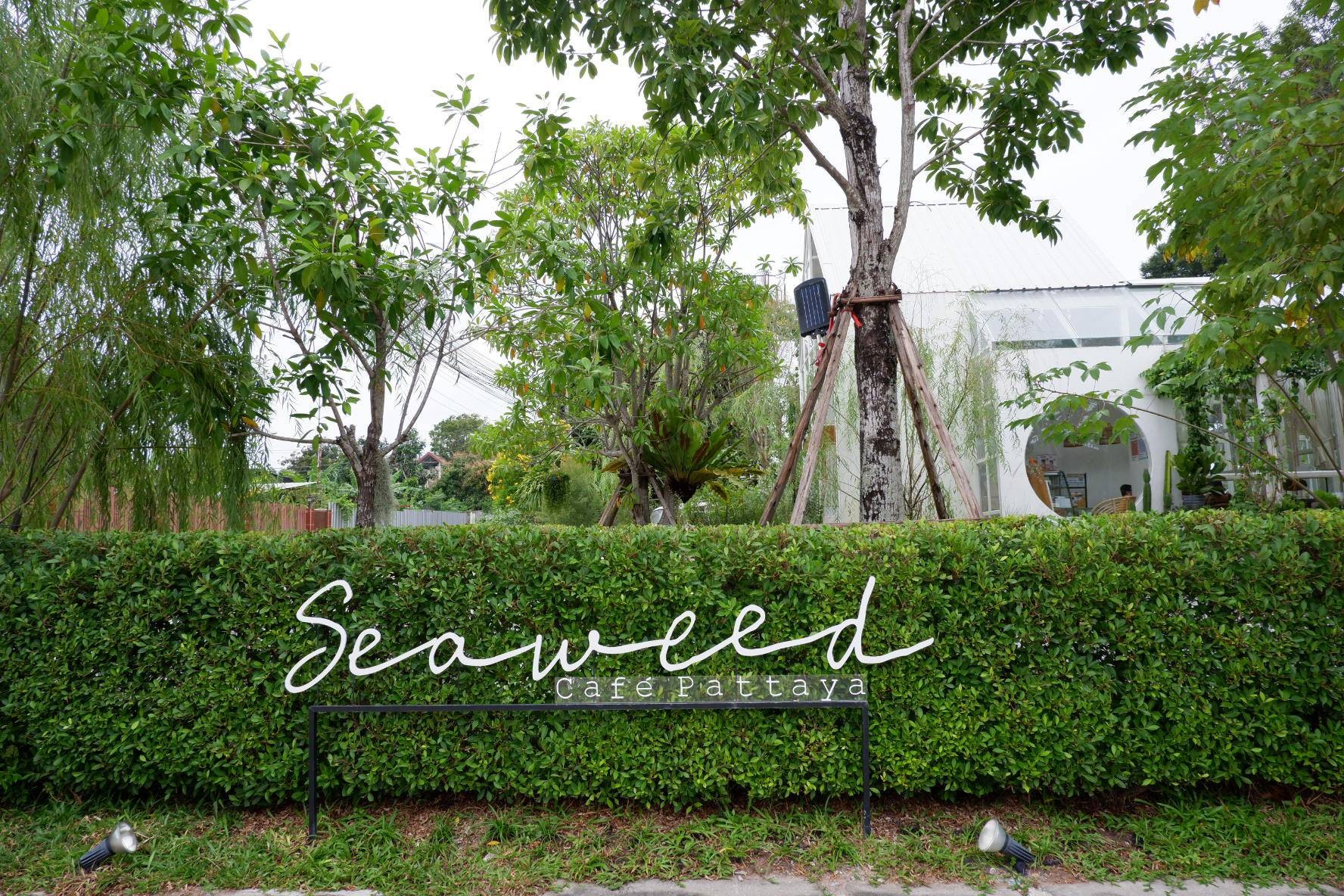รีวิว Seaweed Cafe Pattaya - คาเฟ่ในสวนสีขาวน่านั่ง คุยไปกินขนมไป - Wongnai