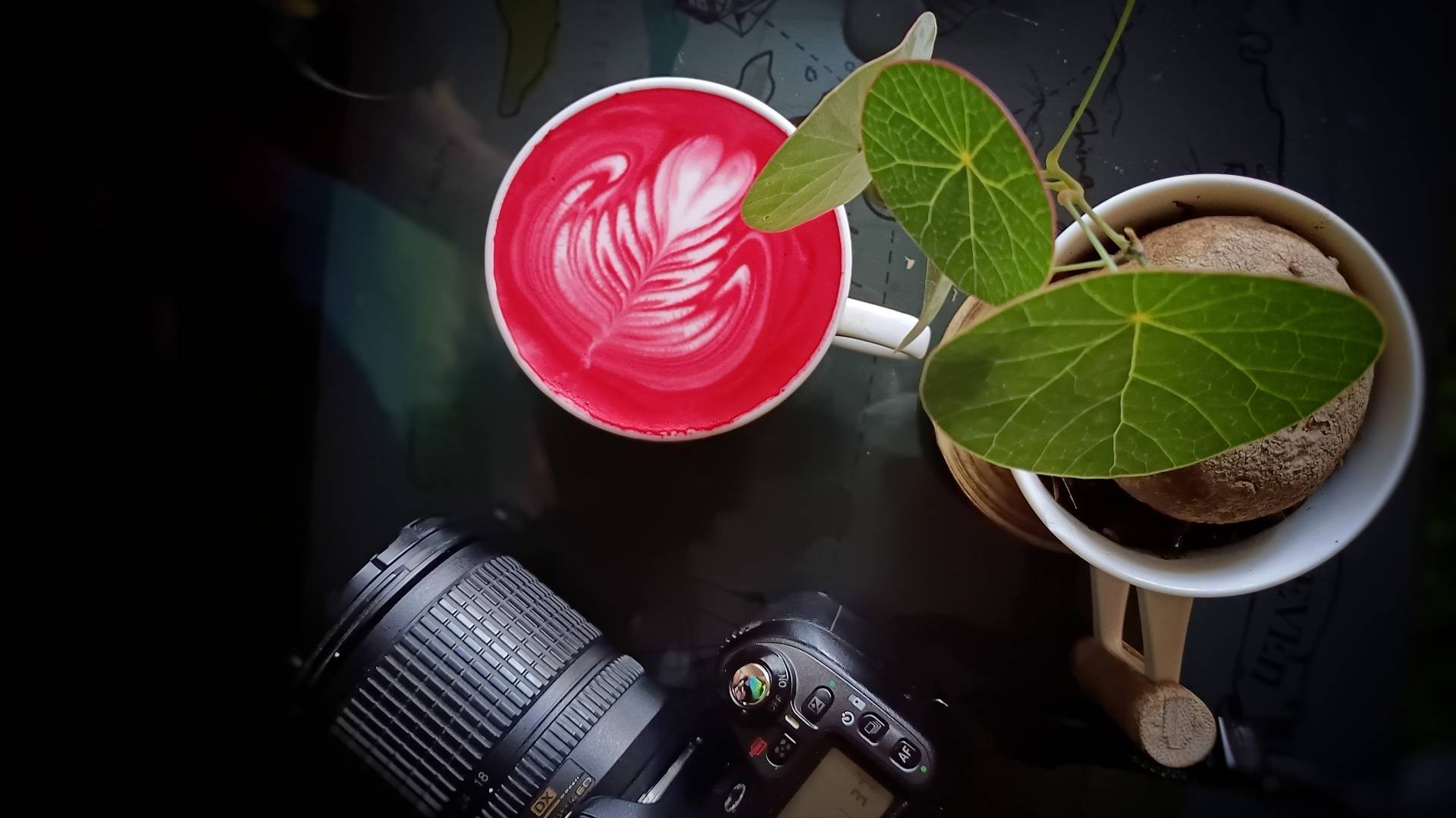 Scorpio_Food&Drinks - สั่งอาหารเดลิเวอรี | Wongnai x LINE MAN
