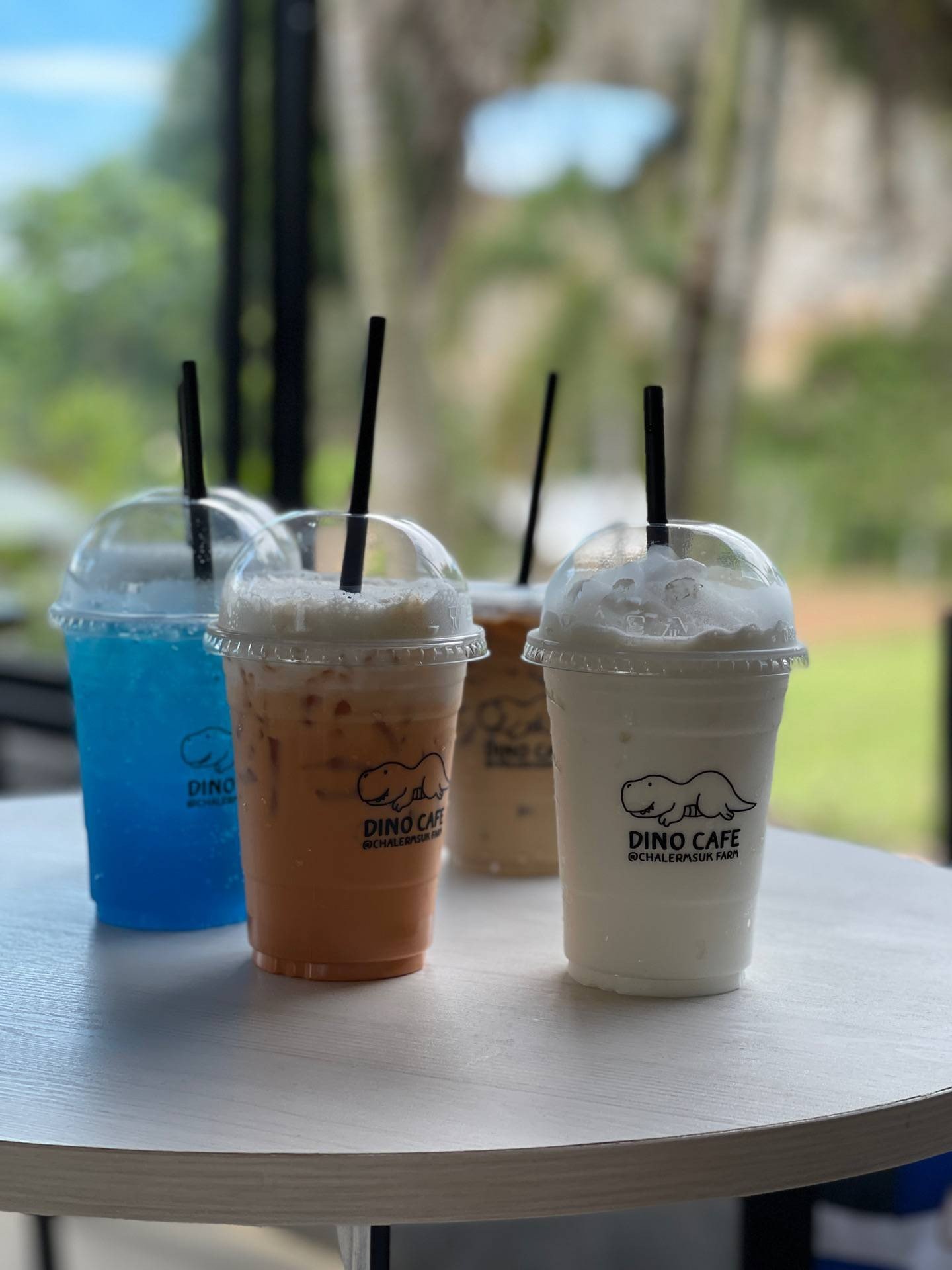รีวิว Dino cafe เฉลิมสุขฟาร์ม - ร้านกาแฟในหุบเขาไดโนเสาร์