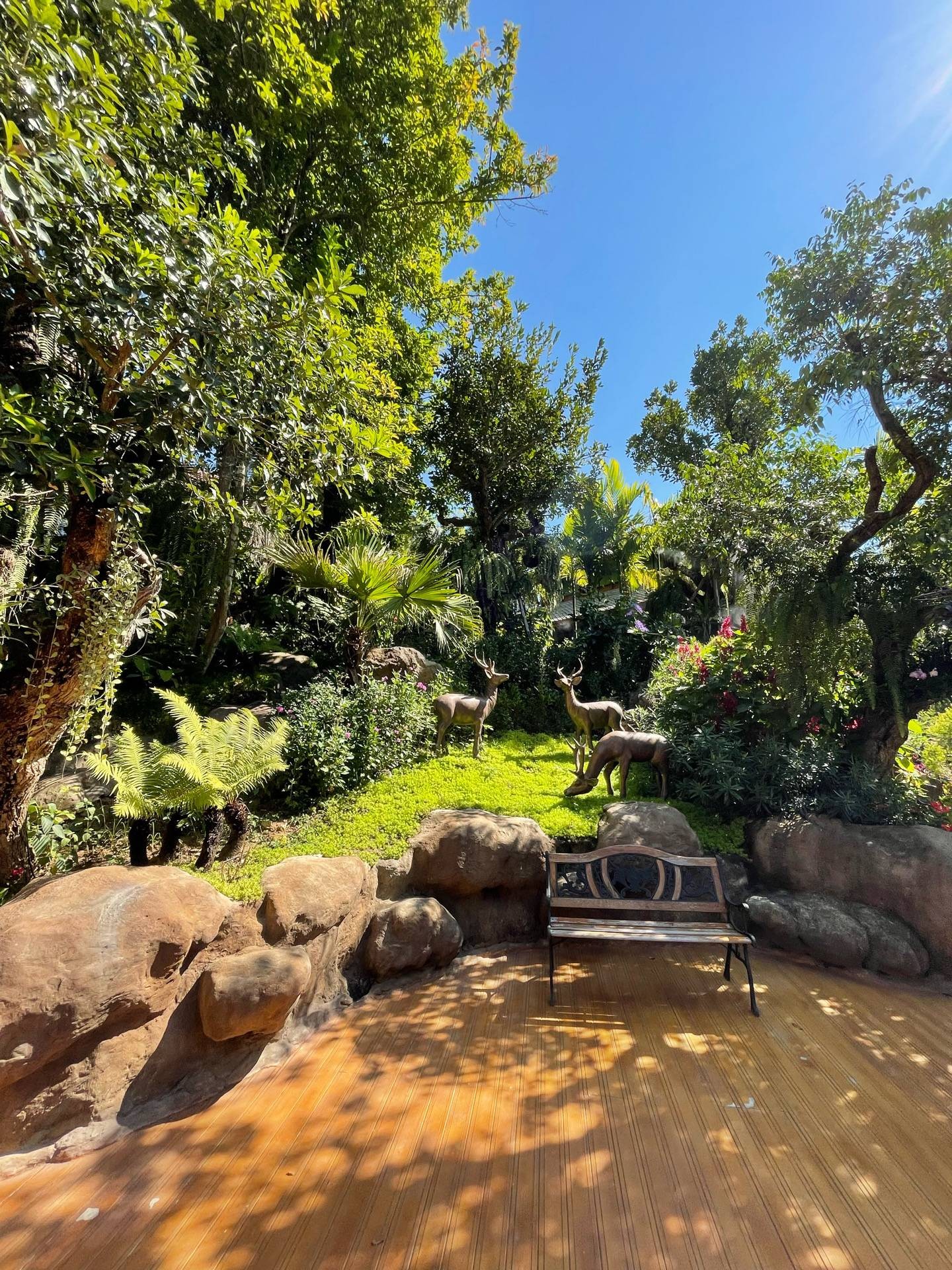 รีวิว Chune Doi Sa Ket - ร้านอาหารและกาแฟ ร่มรื่น ตกแต่งด้วยต้นไม้ ที่ ...