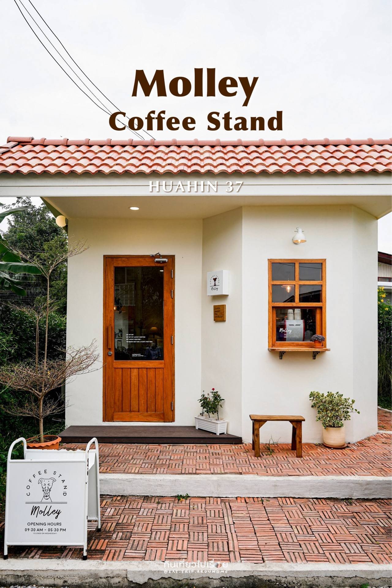 รีวิว Molley Coffee Stand - 🐰 คาเฟ่ในบ้านสุดน่ารักแห่งหัวหิน เหมือนอยู่ในนิยายเลย💕 - Wongnai