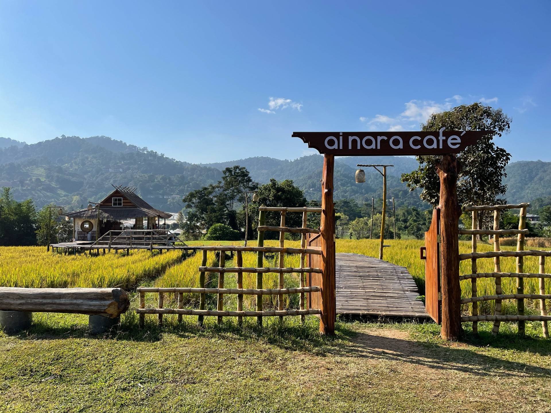 รูป ไอนาราคาเฟ่ ai nara cafe - Wongnai