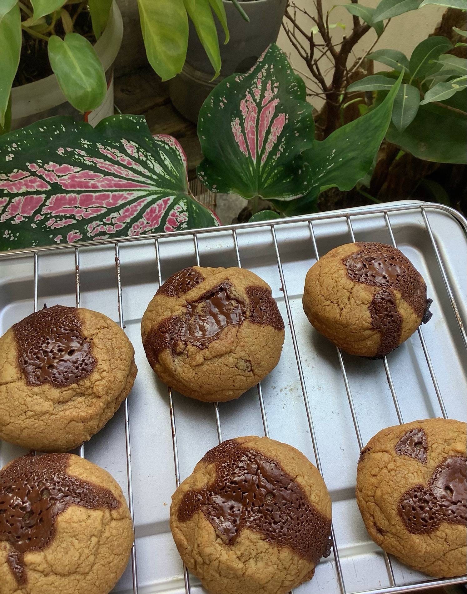 Soft cookie Homemade by Noey - สั่งอาหารเดลิเวอรี | Wongnai x LINE MAN