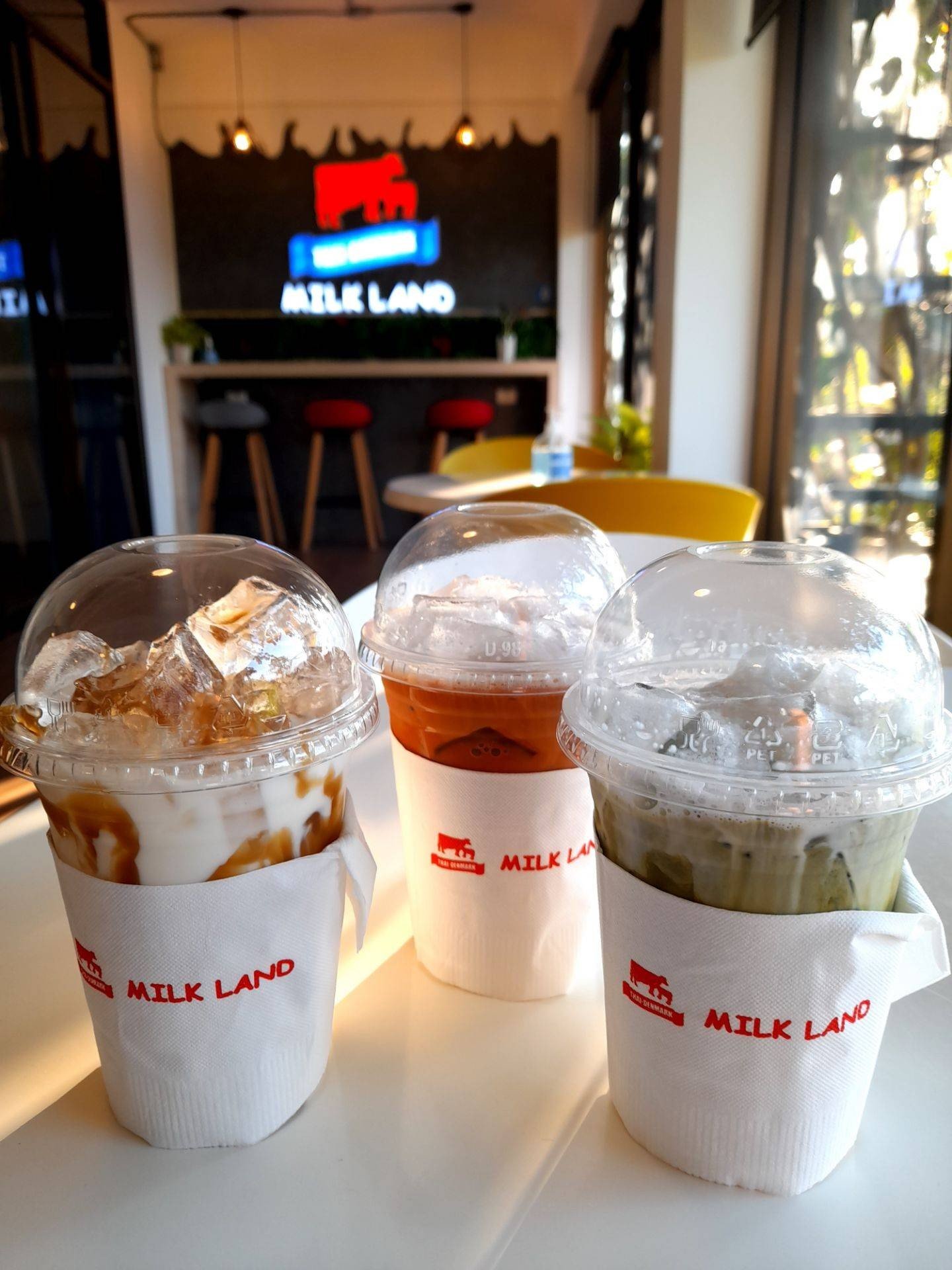 รีวิว Milk Land สหกรณ์โคนมชะอำ-ห้วยทราย สหกรณ์โคนมชะอำ-ห้วยทราย - Milk ...