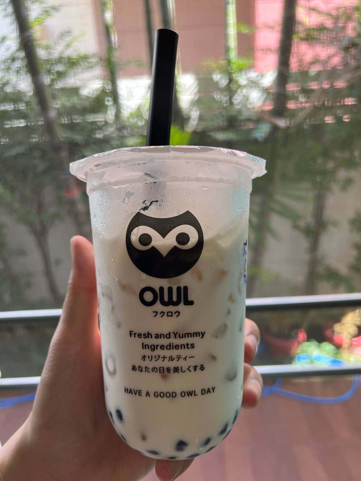 รีวิว OWL CHA สาขา นวมินทร์ 86 - สั่ง Brown sugar fresh milk กับ brown ...
