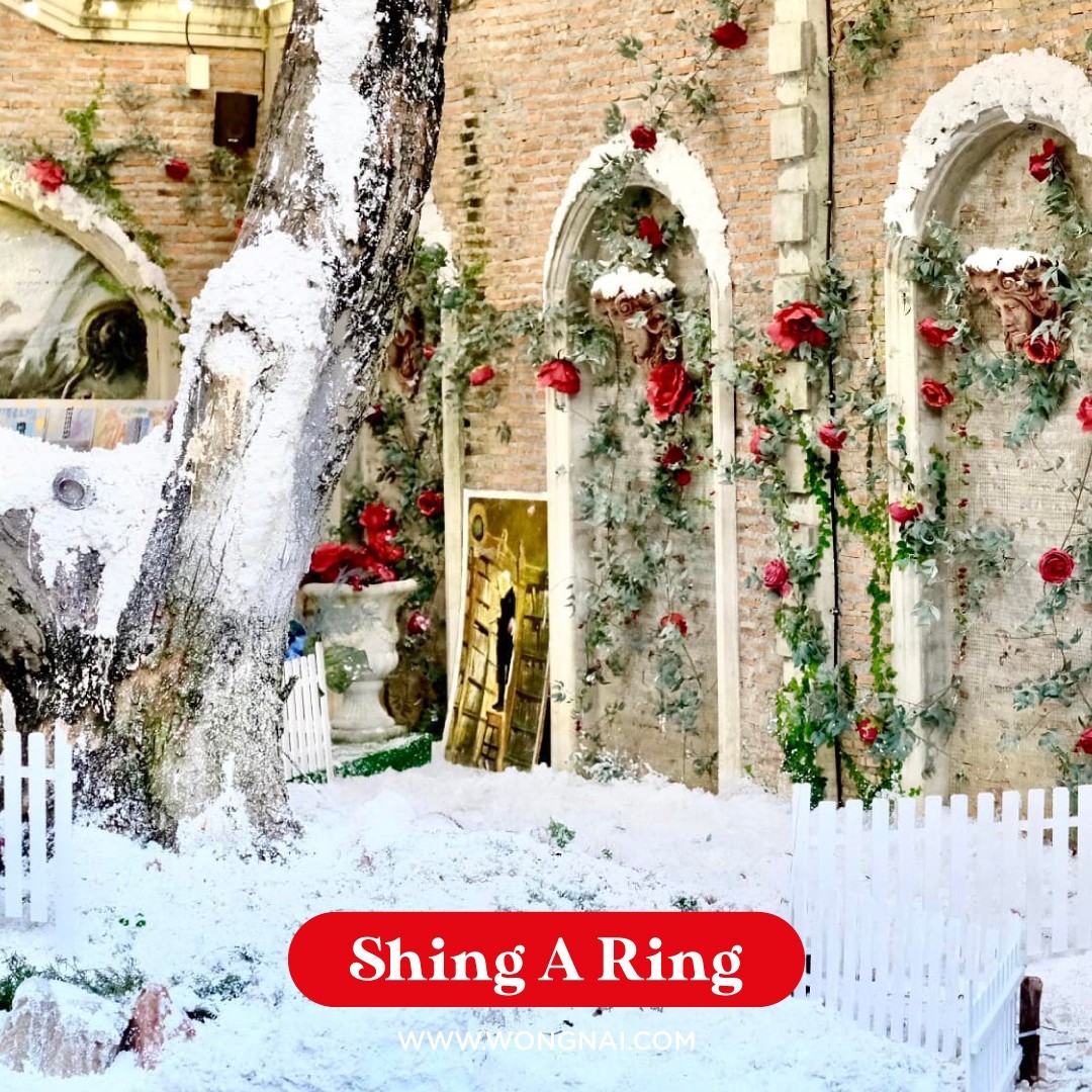 15 คาเฟ่คริสต์มาส สวยอลังบรรยากาศดี น่าไปถ่ายรูปก่อนหมดปี 2021!