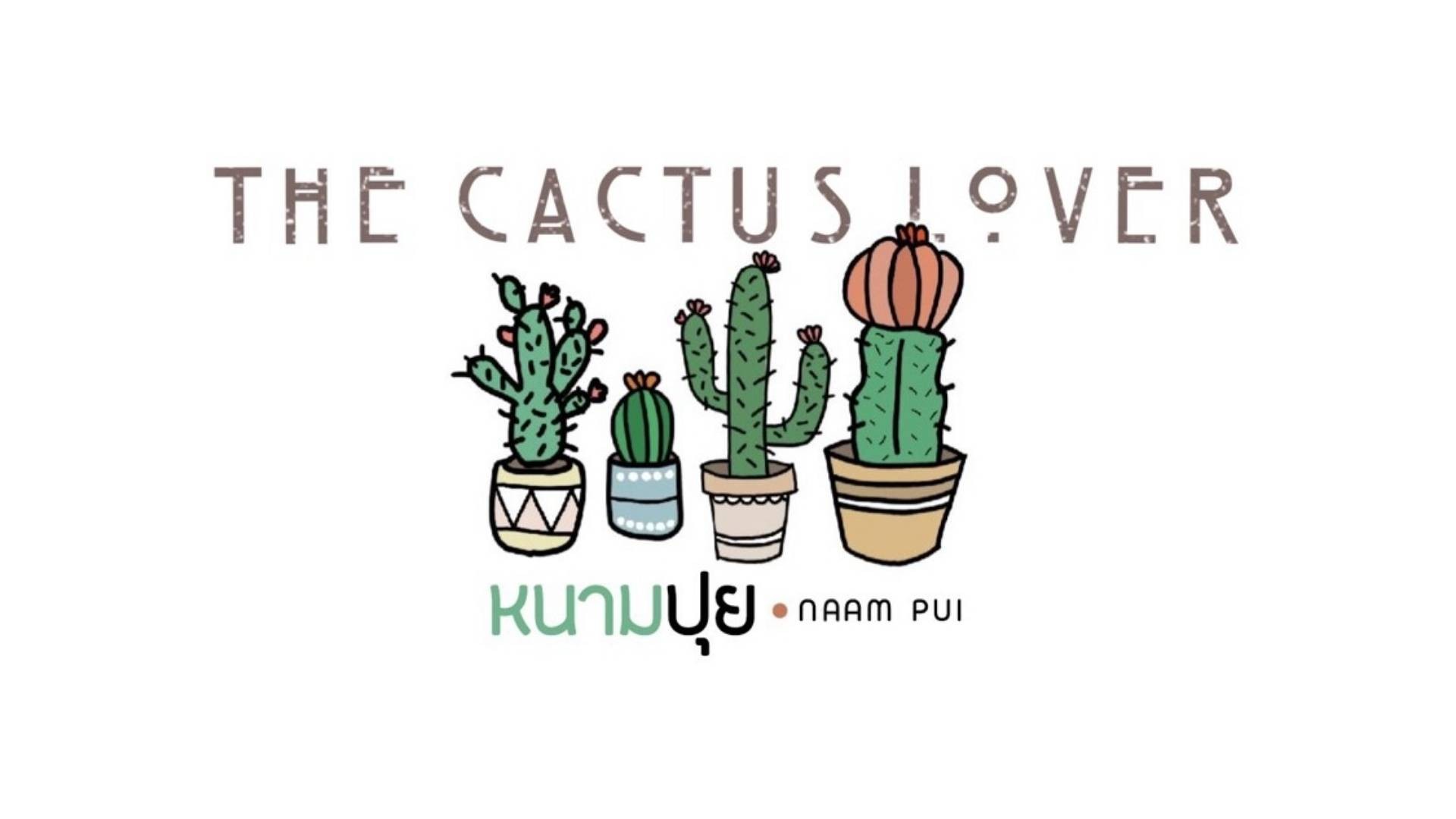 ร้าน มิซแพ็คกิ้ง & หนามปุย (Ms.packing &NaampuiCactus)