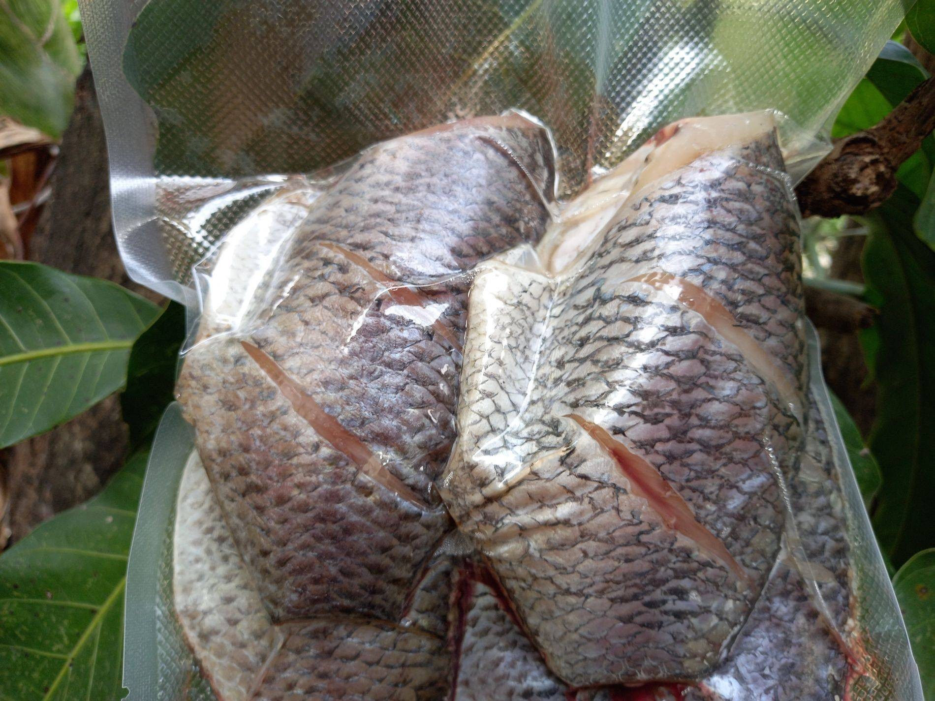 #สด ครึ่ง กิโลกรัม ปลานิลเเดดเดียวสด (500 กรัม) #ไม่ทอด • image ร้าน ...